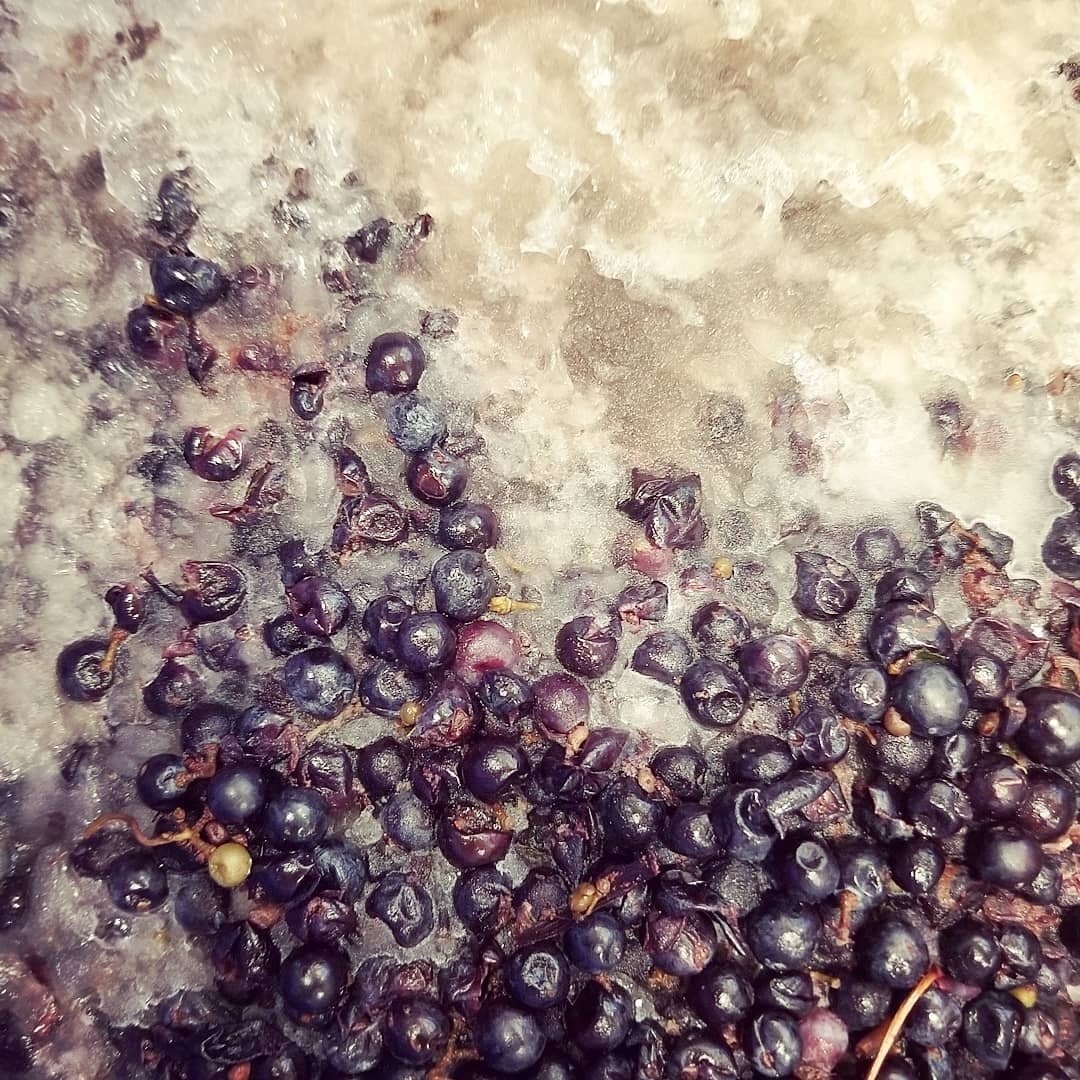 Does Cryo Maceration Make Wine Better? | Alcohol Professor