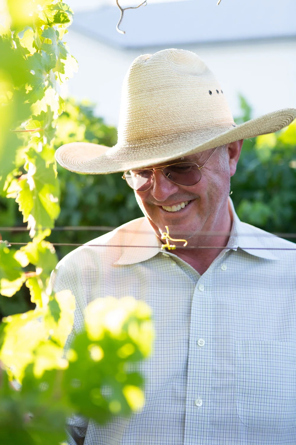 Napa Sauvignon Blanc is Having a Moment in Napa | Alcohol Professor