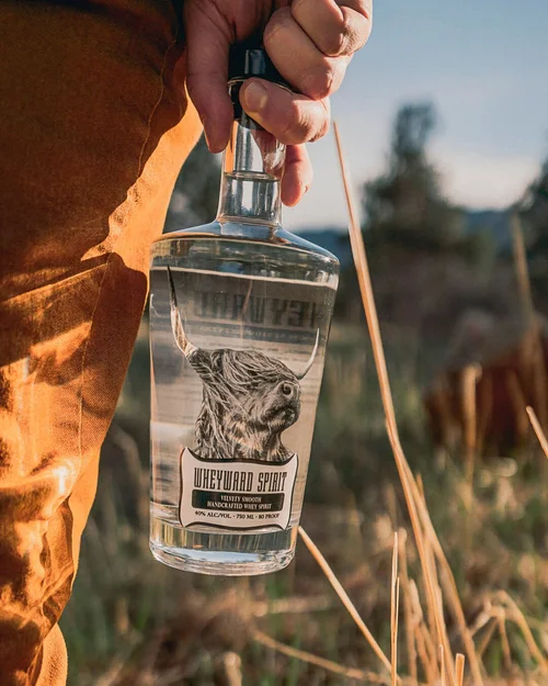 Wheyward Spirit Turns Wasted Whey into Alcohol | Alcohol Professor