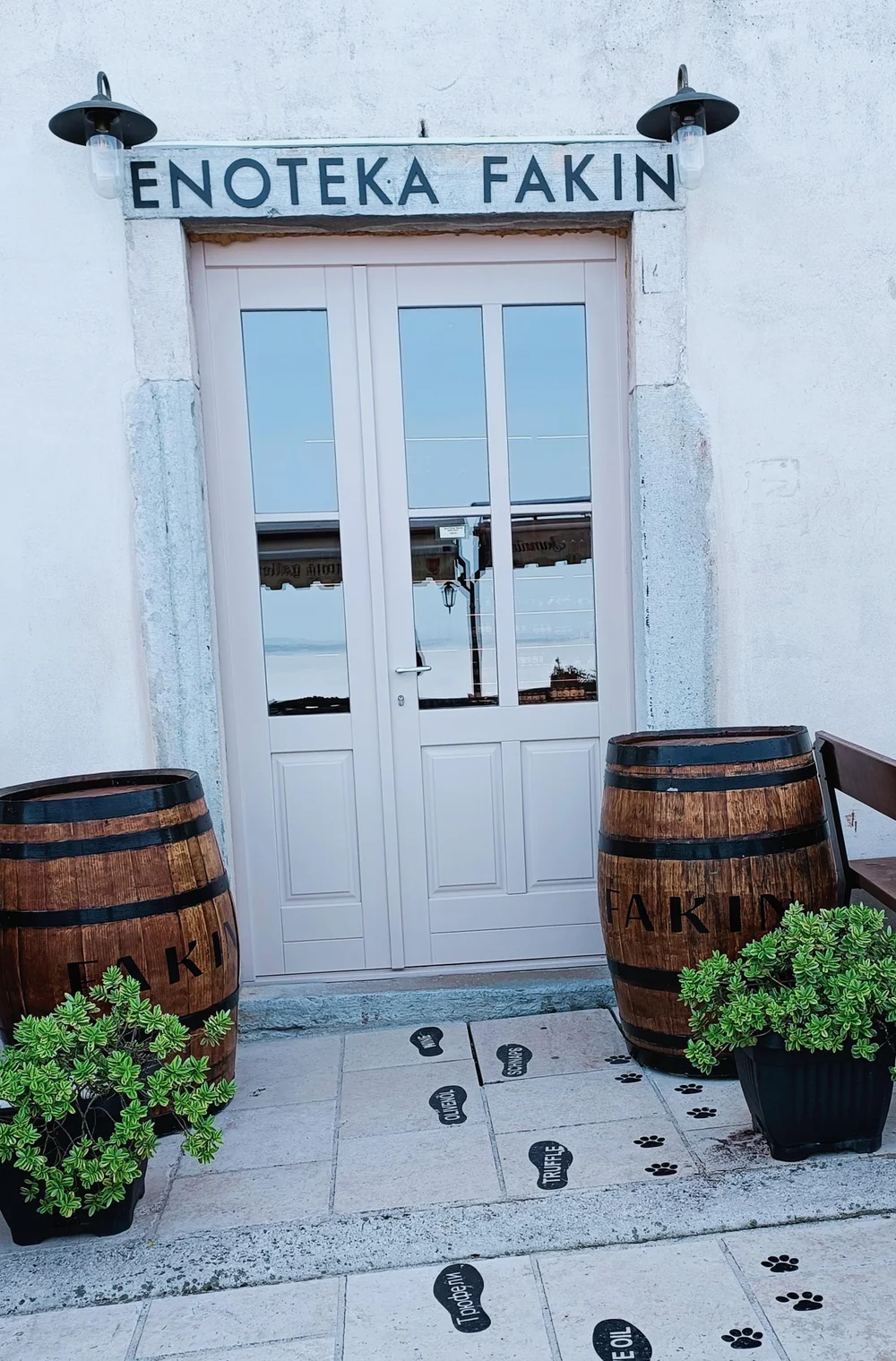 Teran 101: A Great Croatian Indigenous Grape | Alcohol Professor