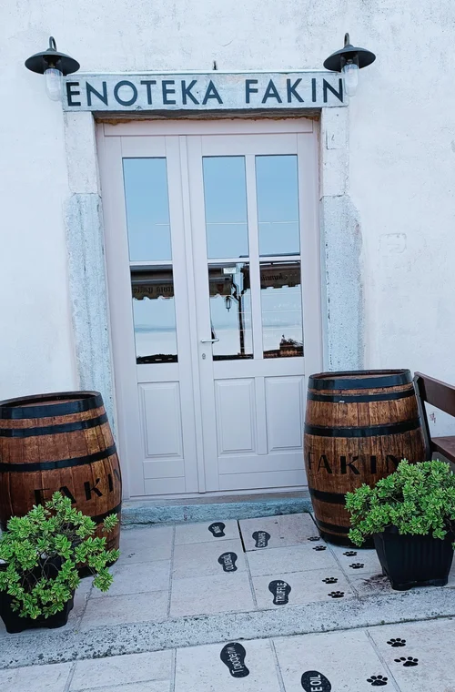 Teran 101: A Great Croatian Indigenous Grape | Alcohol Professor