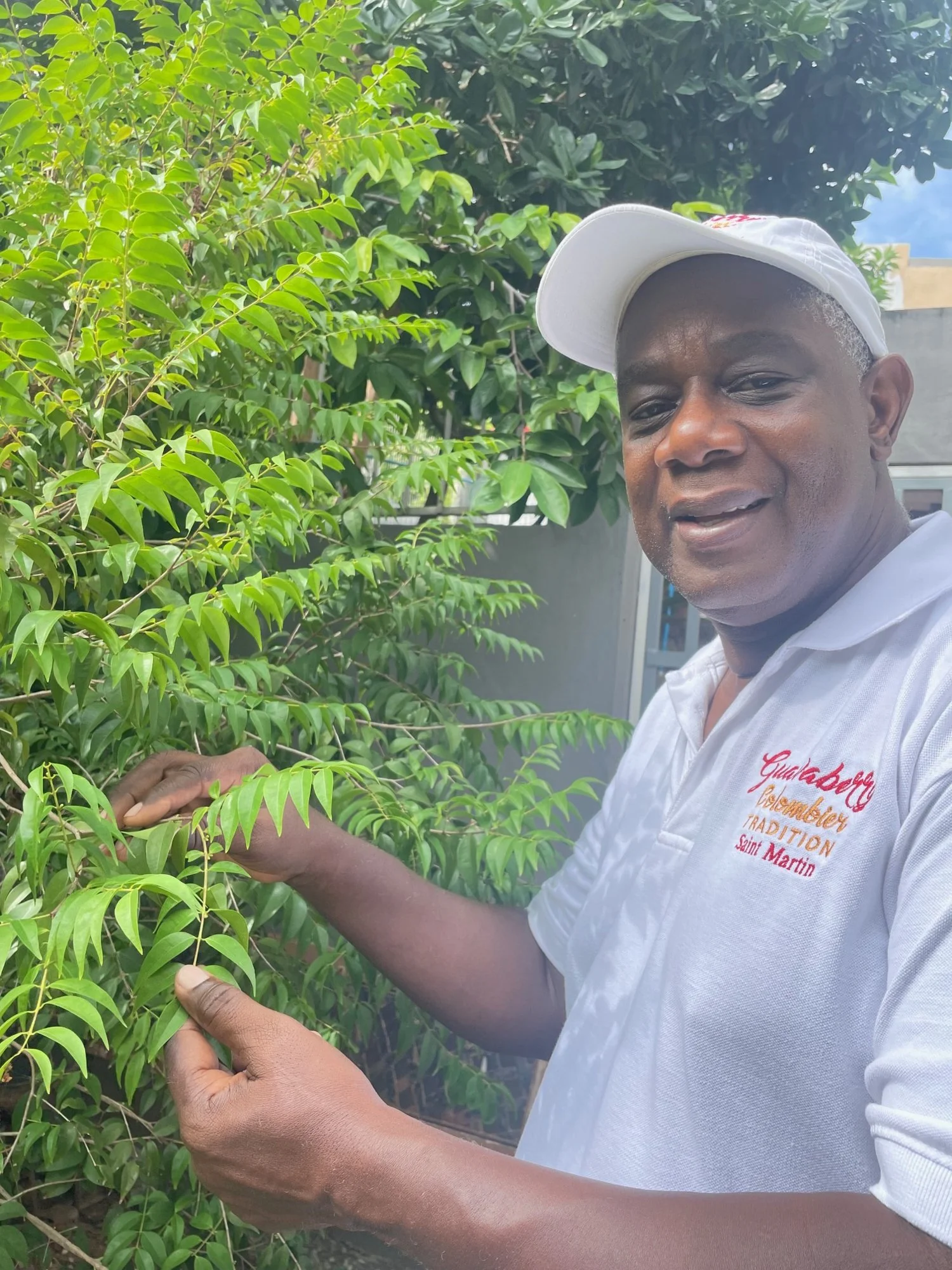 Guavaberry Liqueur is Quintessentially Caribbean | Alcohol Professor