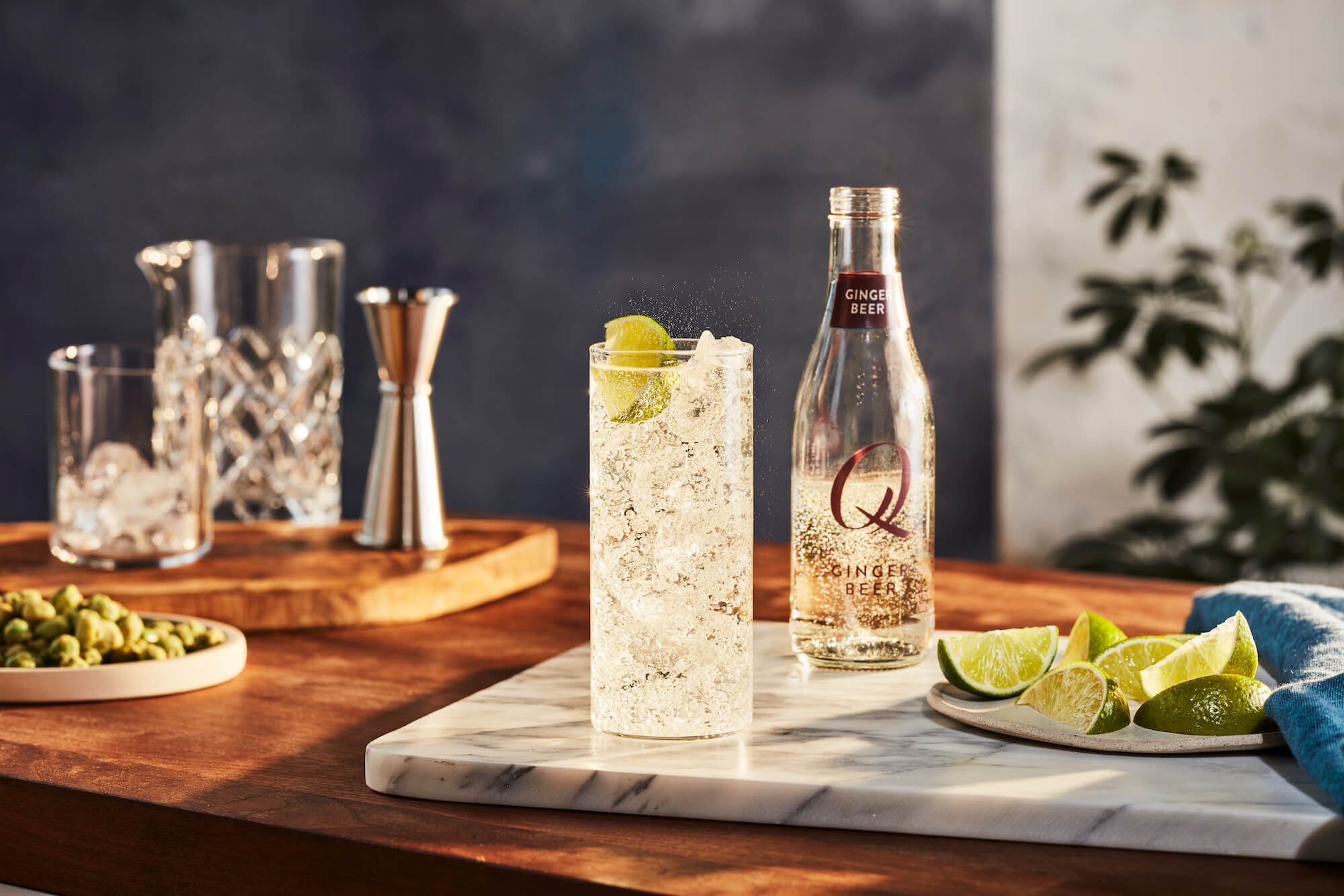 The Best Ginger Beers for Cocktails & 2 Recipes | Alcohol Professor