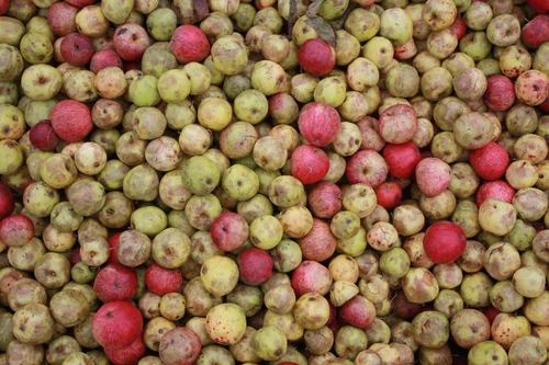 Hard Cider: A Simple Guide to Styles, Sweetness, and More | Alcohol ...