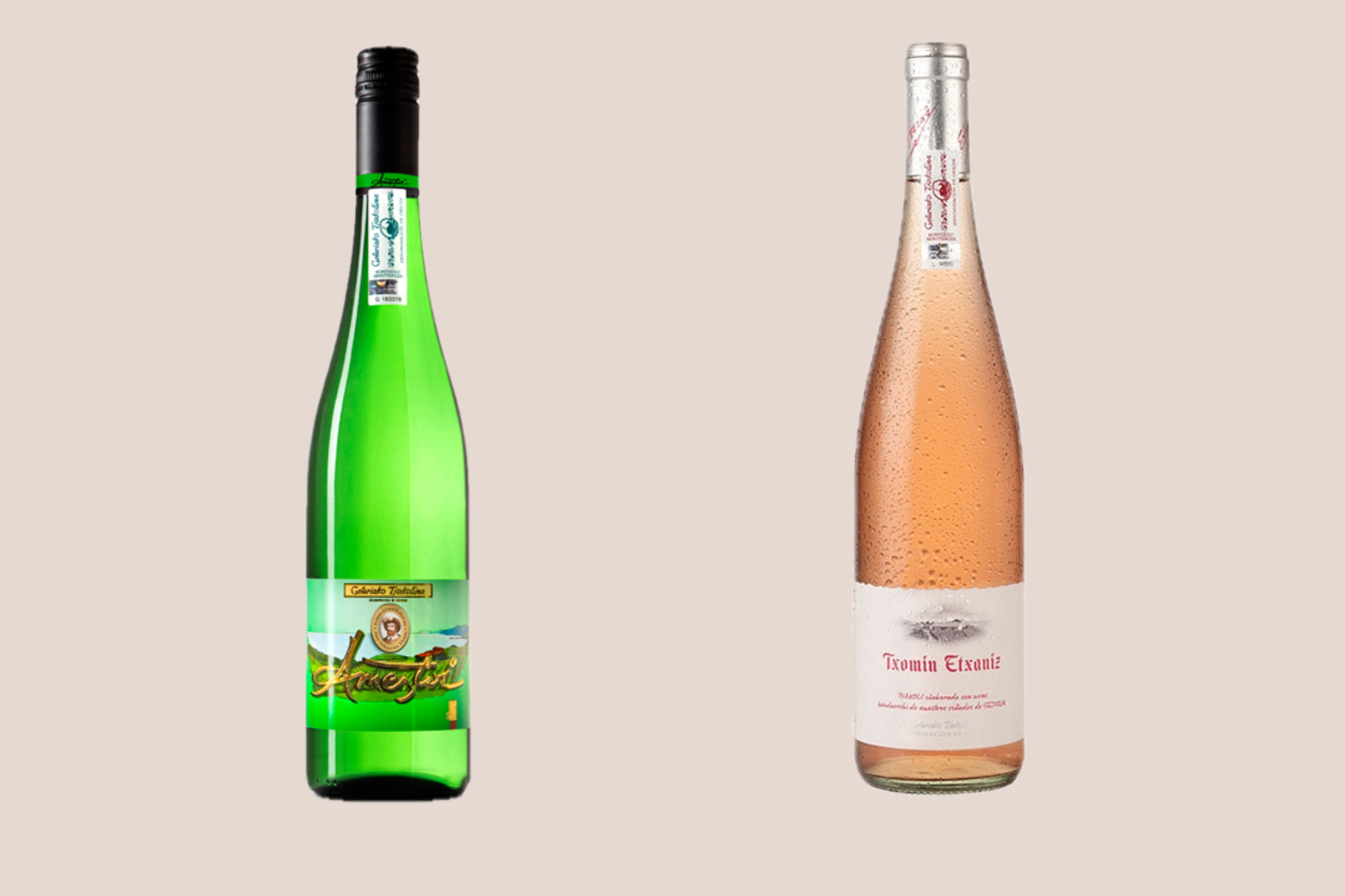 Txakolí 101 | Alcohol Professor