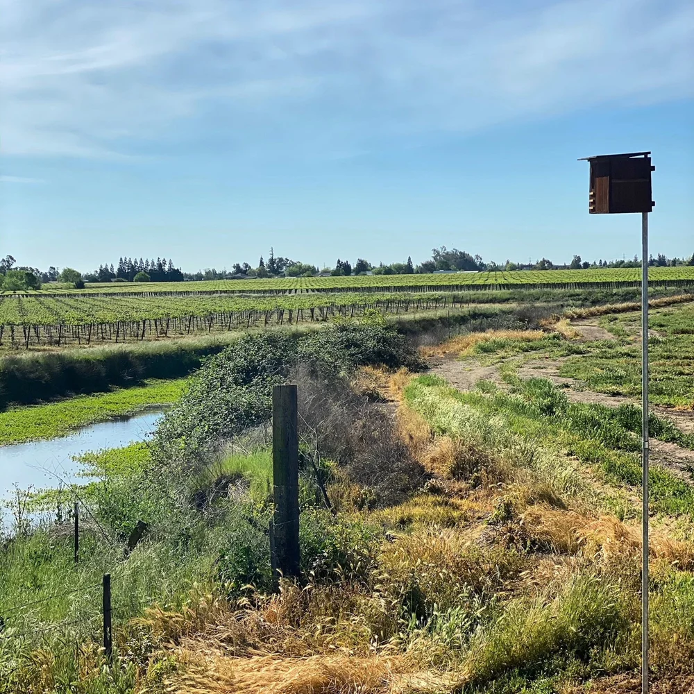 LODI RULES: California’s Original Sustainable Wine Growing Program ...