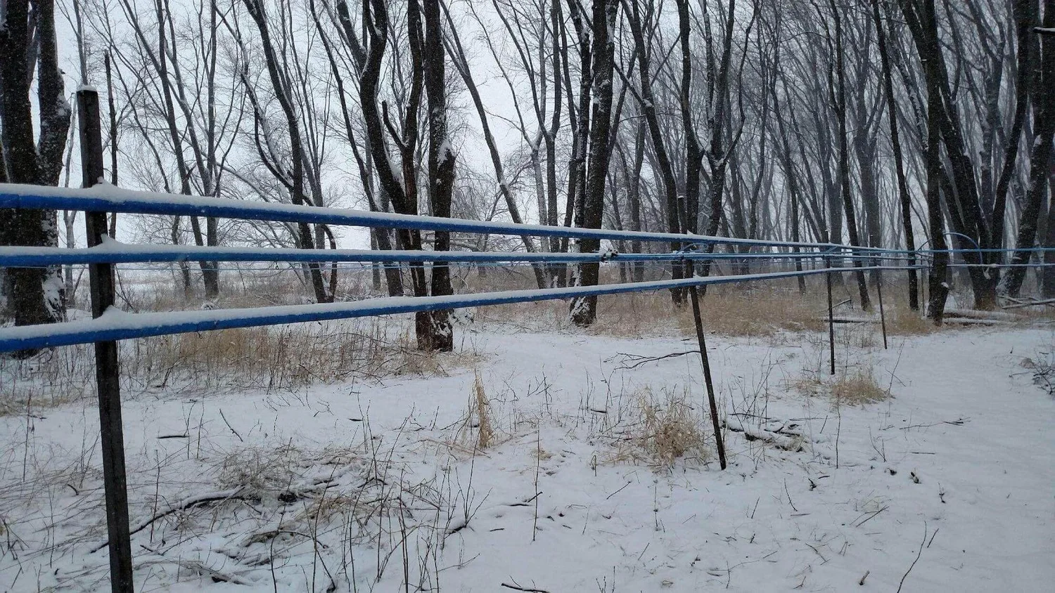 How Kevin Sapthre Turns Maple Syrup Into Whiskey | Alcohol Professor
