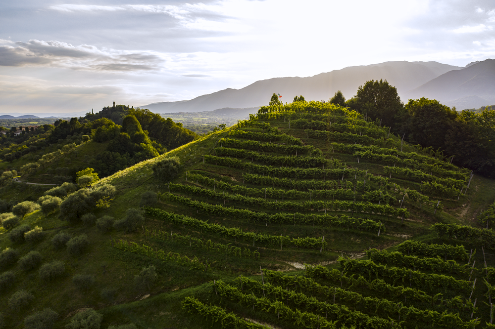 4 Top Prosecco Producers You Should Know from Asolo | Alcohol Professor