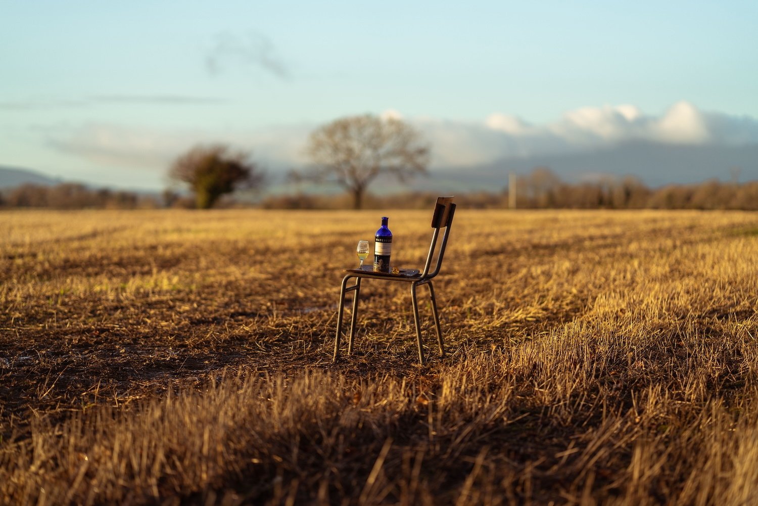 Learn About the Grains Used in Whiskey | Alcohol Professor