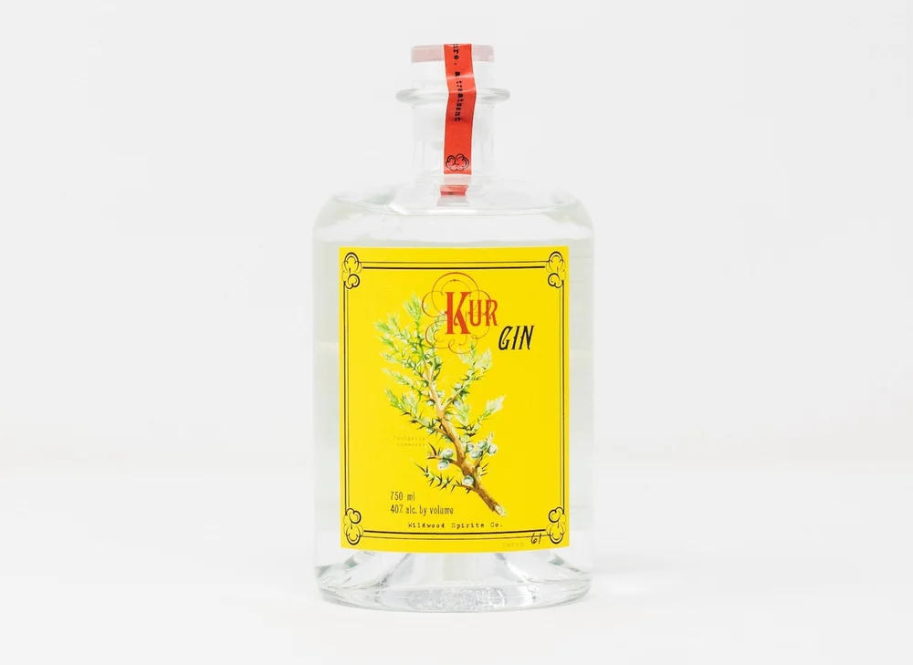 New Citrus Forward Gins to Enjoy Now | Alcohol Professor