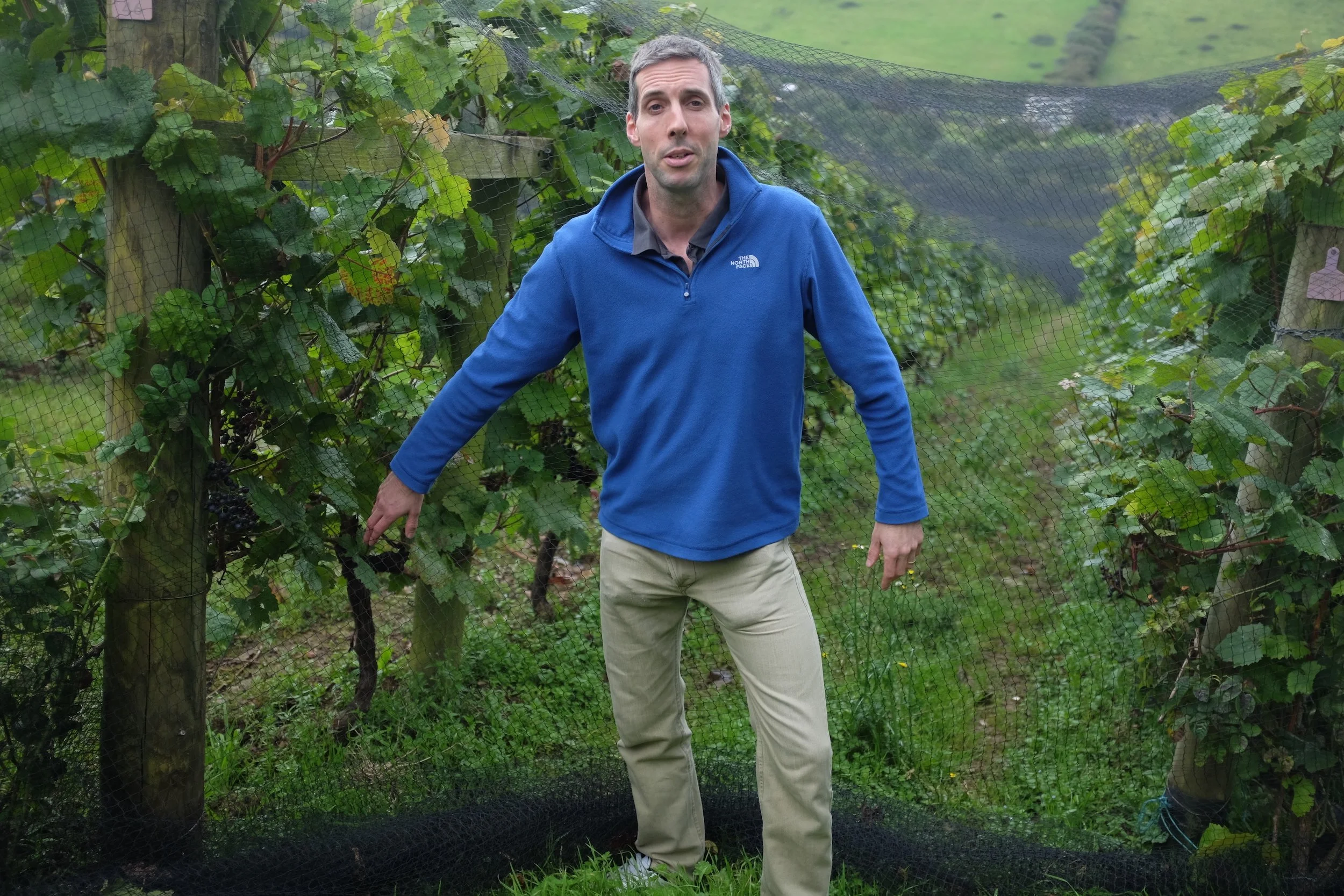 Why is English Sparkling Wine Making a Splash? | Alcohol Professor