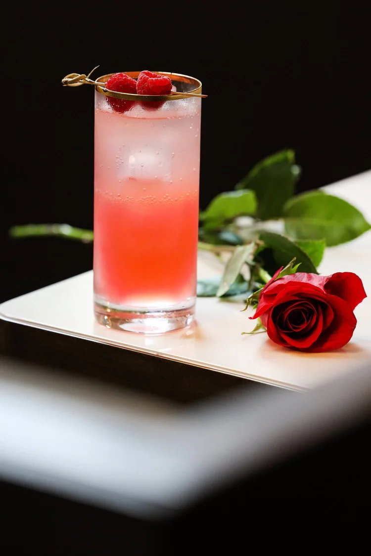 Why Highball Cocktails Are Excellent for Day Drinking | Alcohol Professor