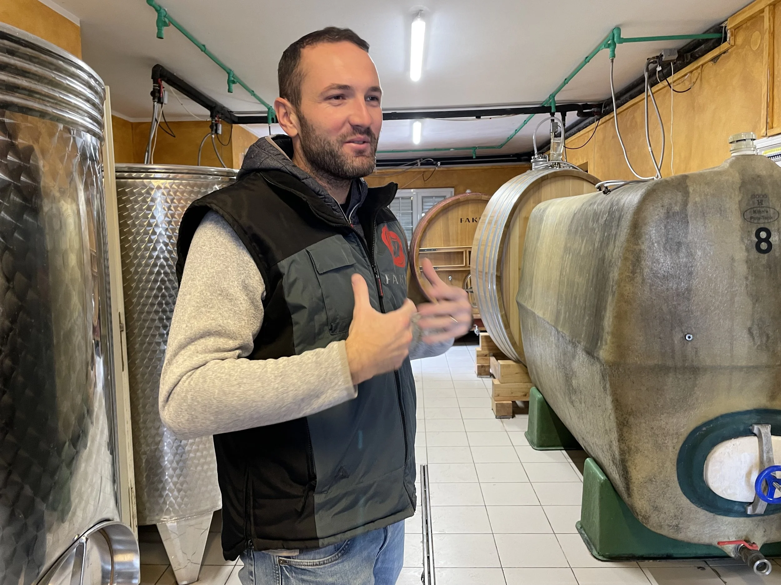 Teran 101: A Great Croatian Indigenous Grape | Alcohol Professor