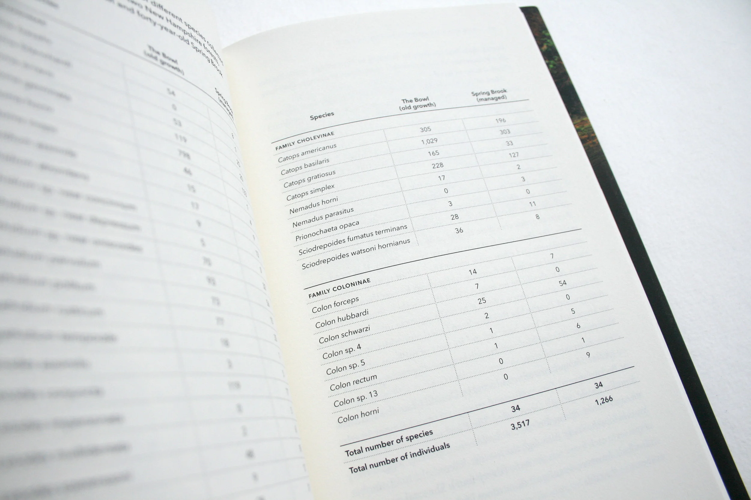 Infographics — Anna Eshelman
