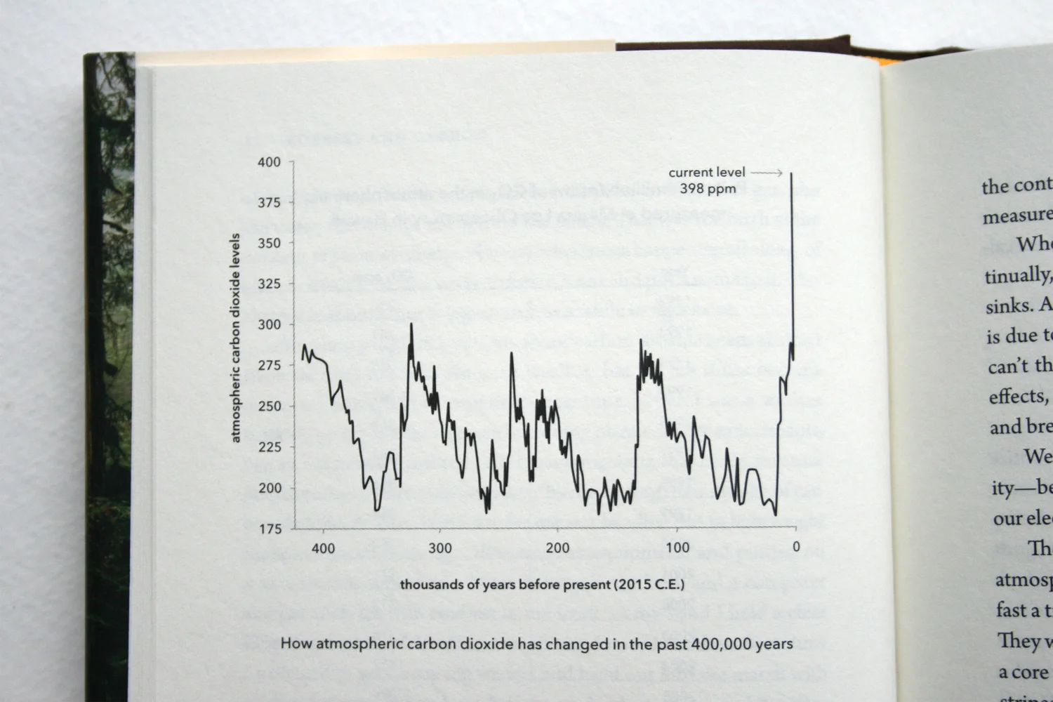 Infographics — Anna Eshelman