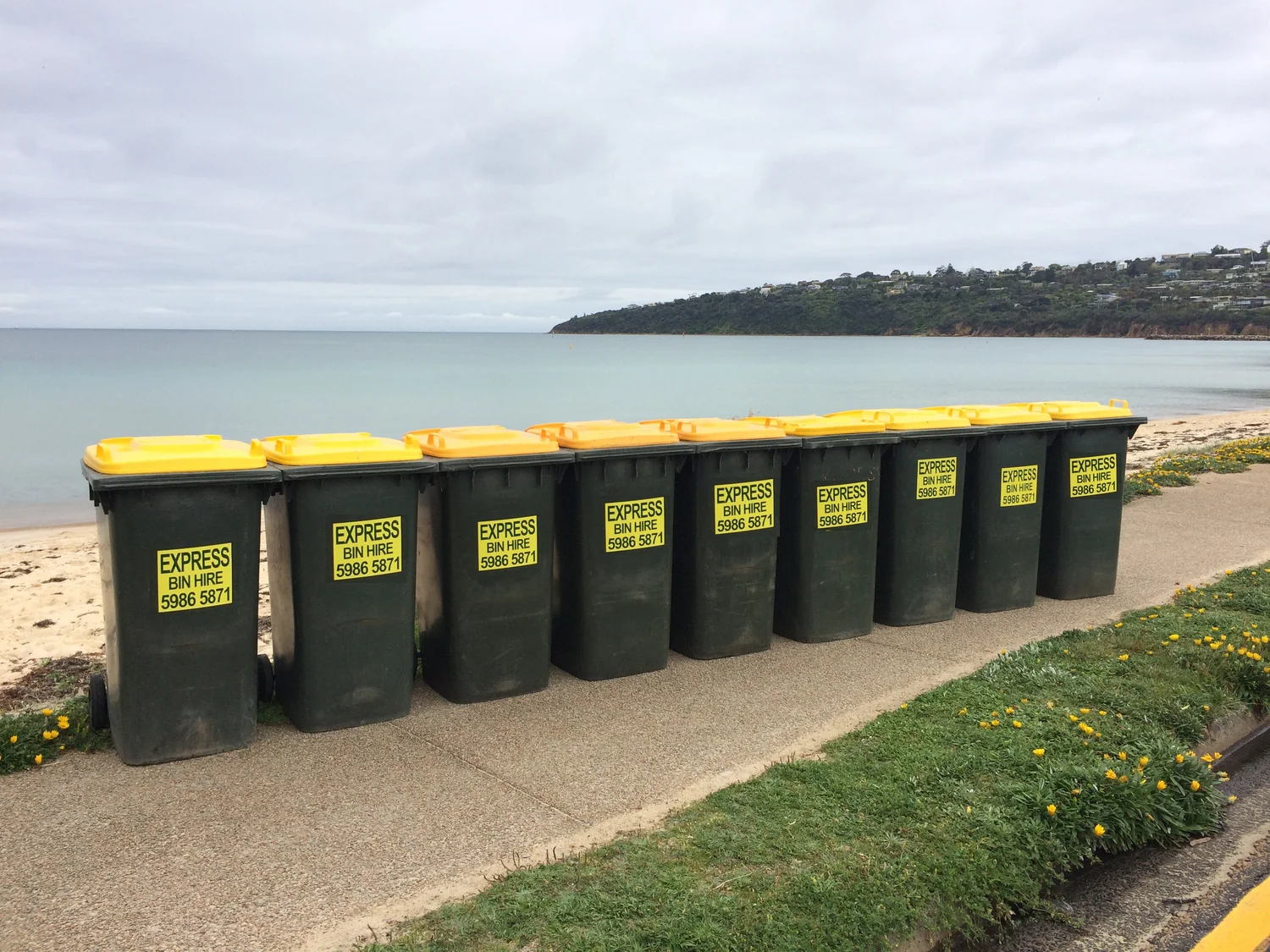 Express Bin Hire