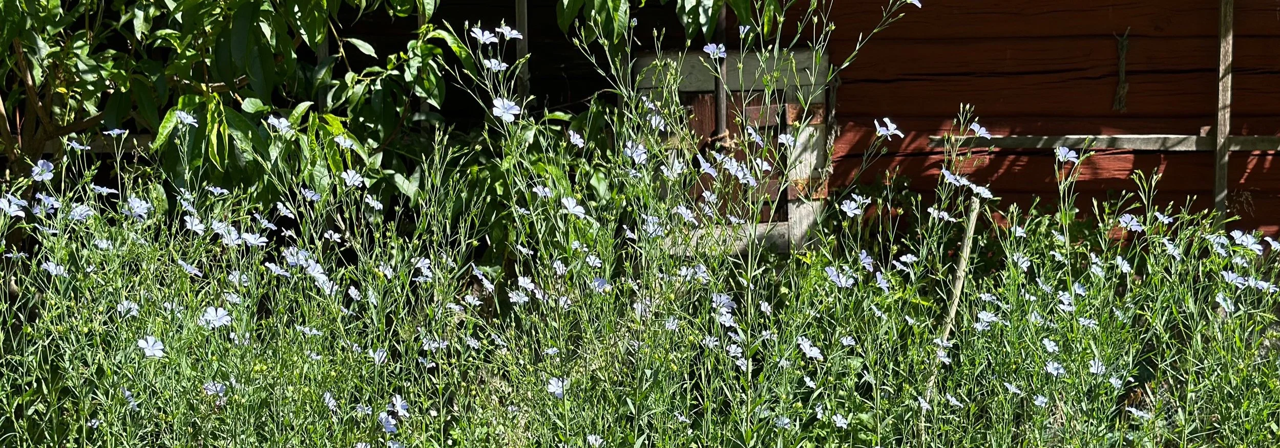 Linne mönstrade och enfärgade | Anna Hedeklint