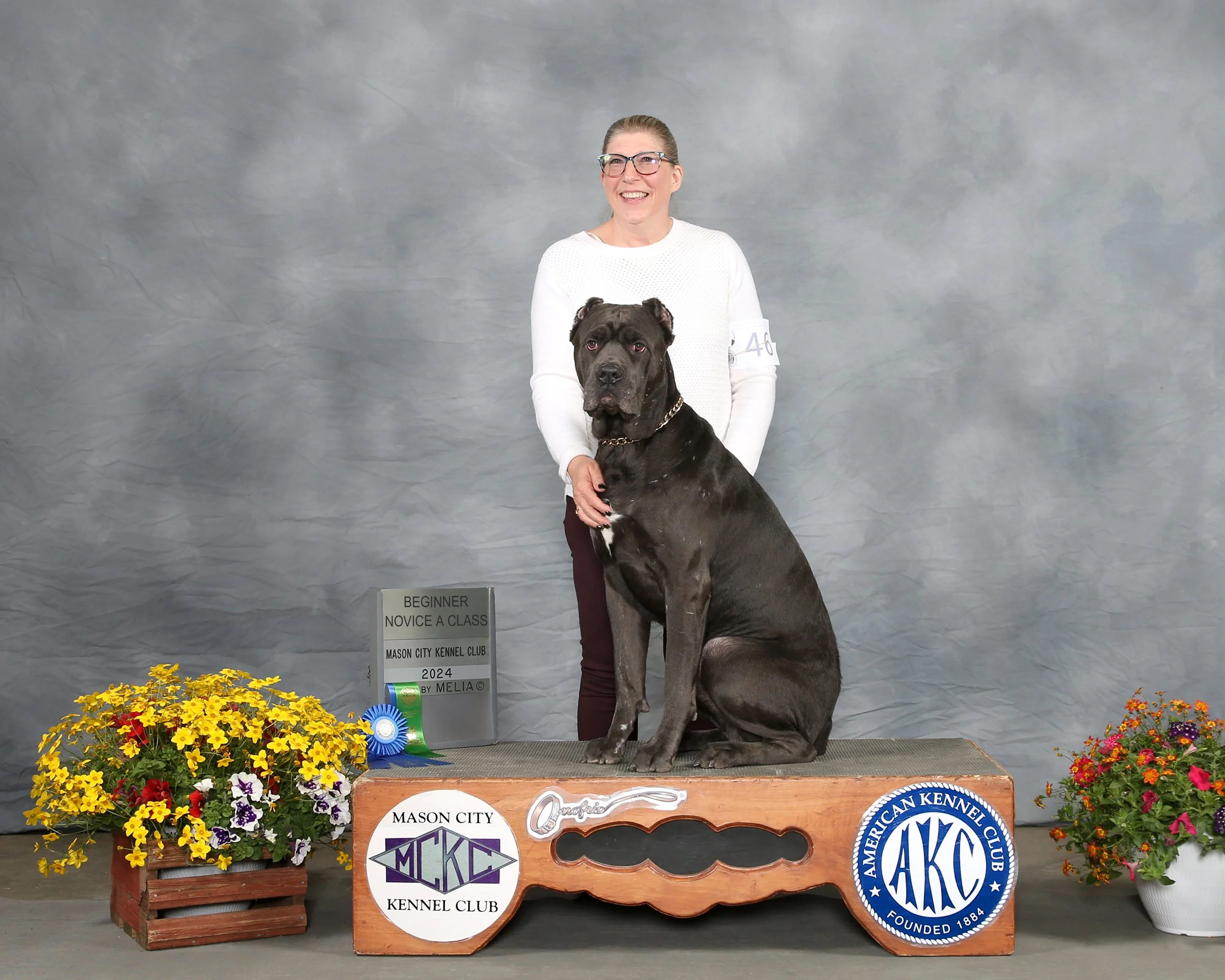 Kai's Obedience - Dog Training