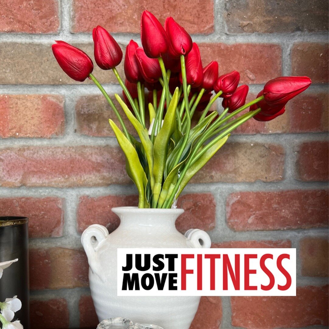 Memberships — Just Move Fitness