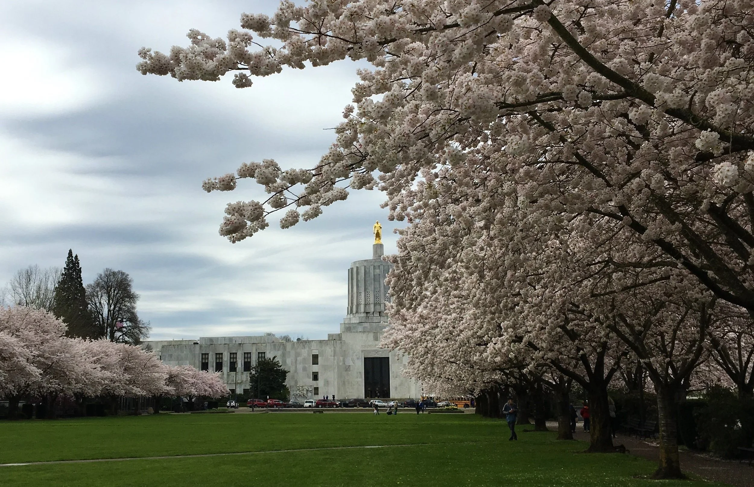 Climate Science and Response: What’s the Role for Politics? — Oregon ...