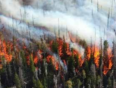 Climate Change in Oregon — Oregon Climate Action Commission