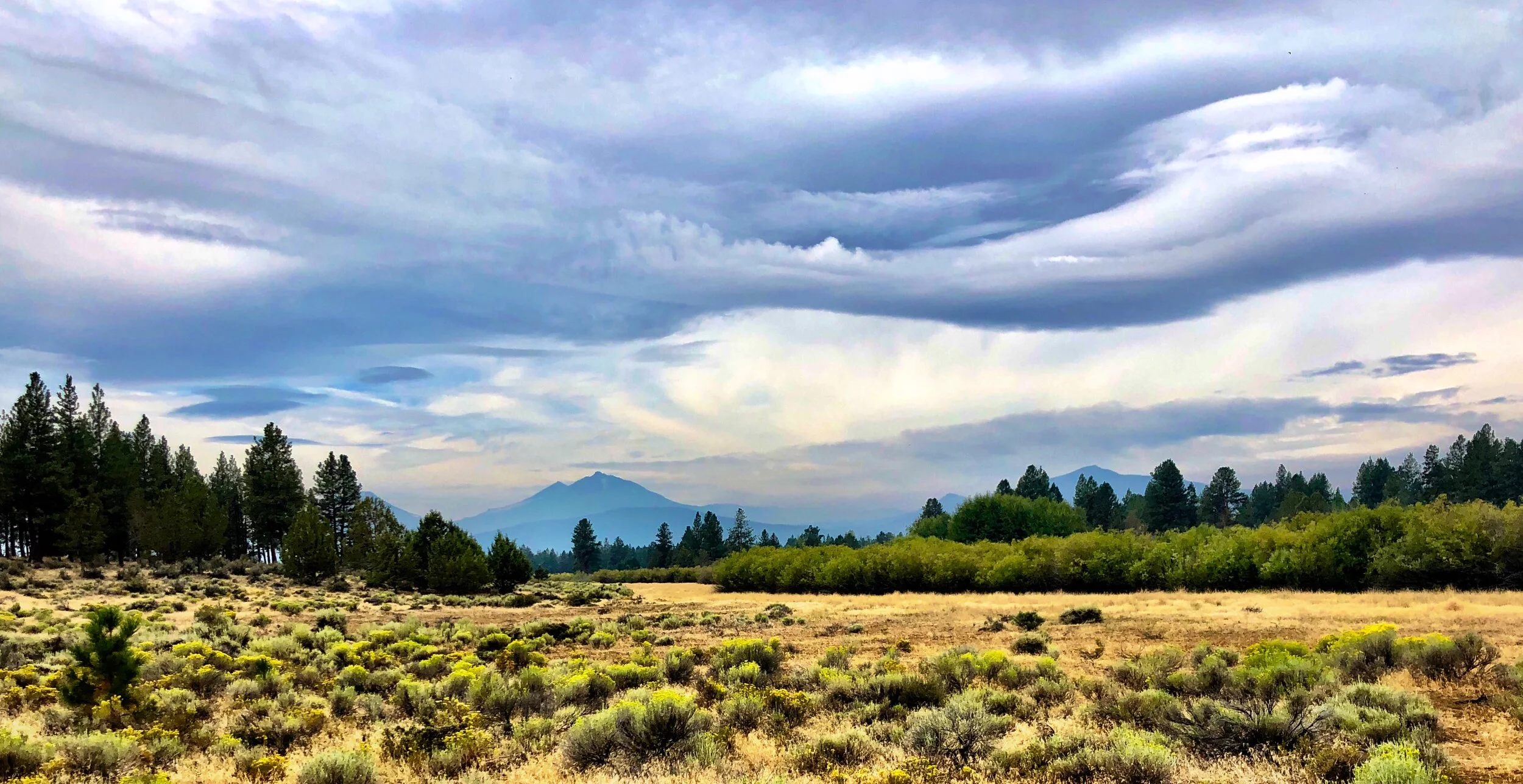 Natural and Working Lands 2023 Report — Oregon Climate Action Commission