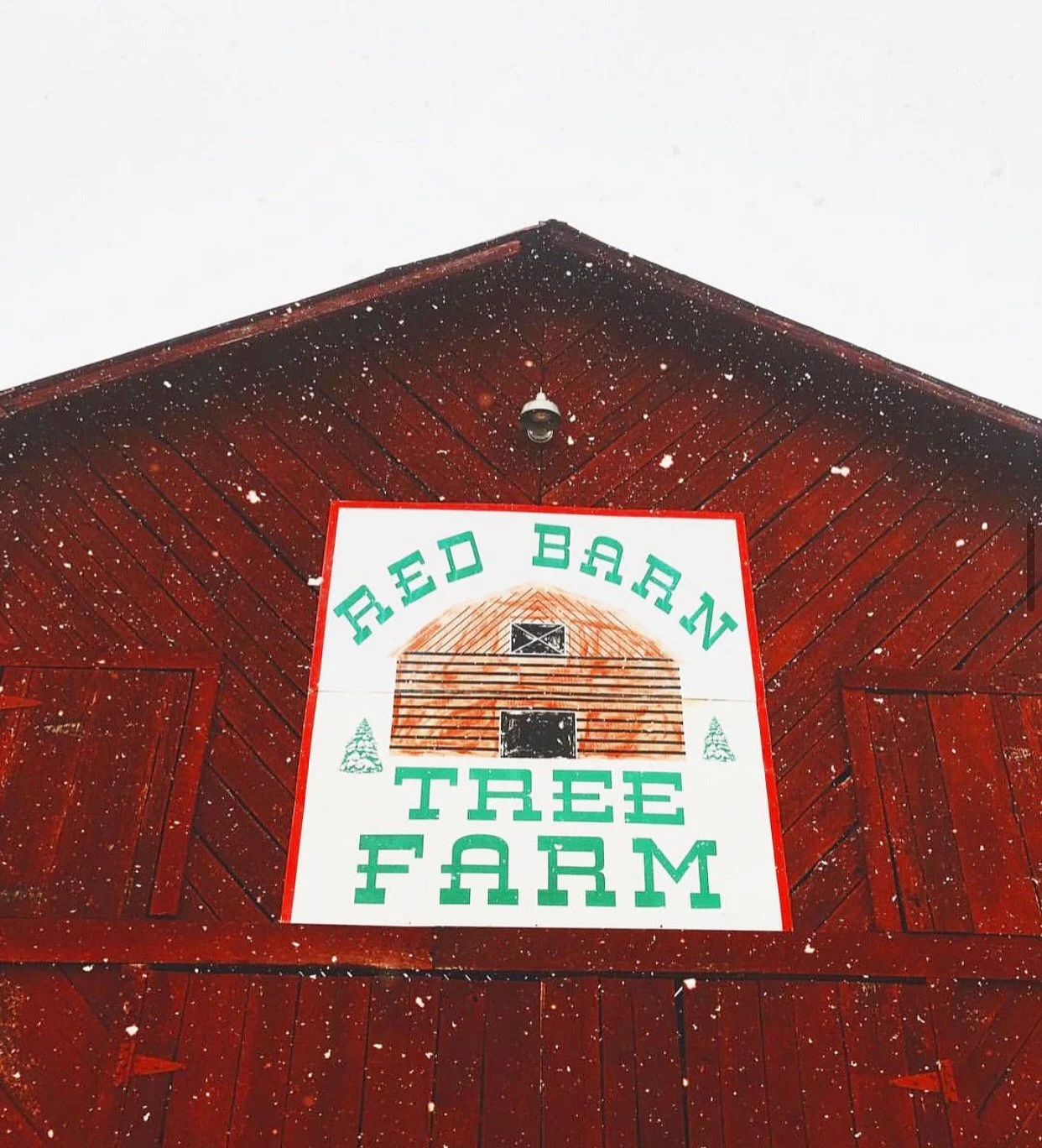 Red Barn Tree Farm — Linville Falls Winery