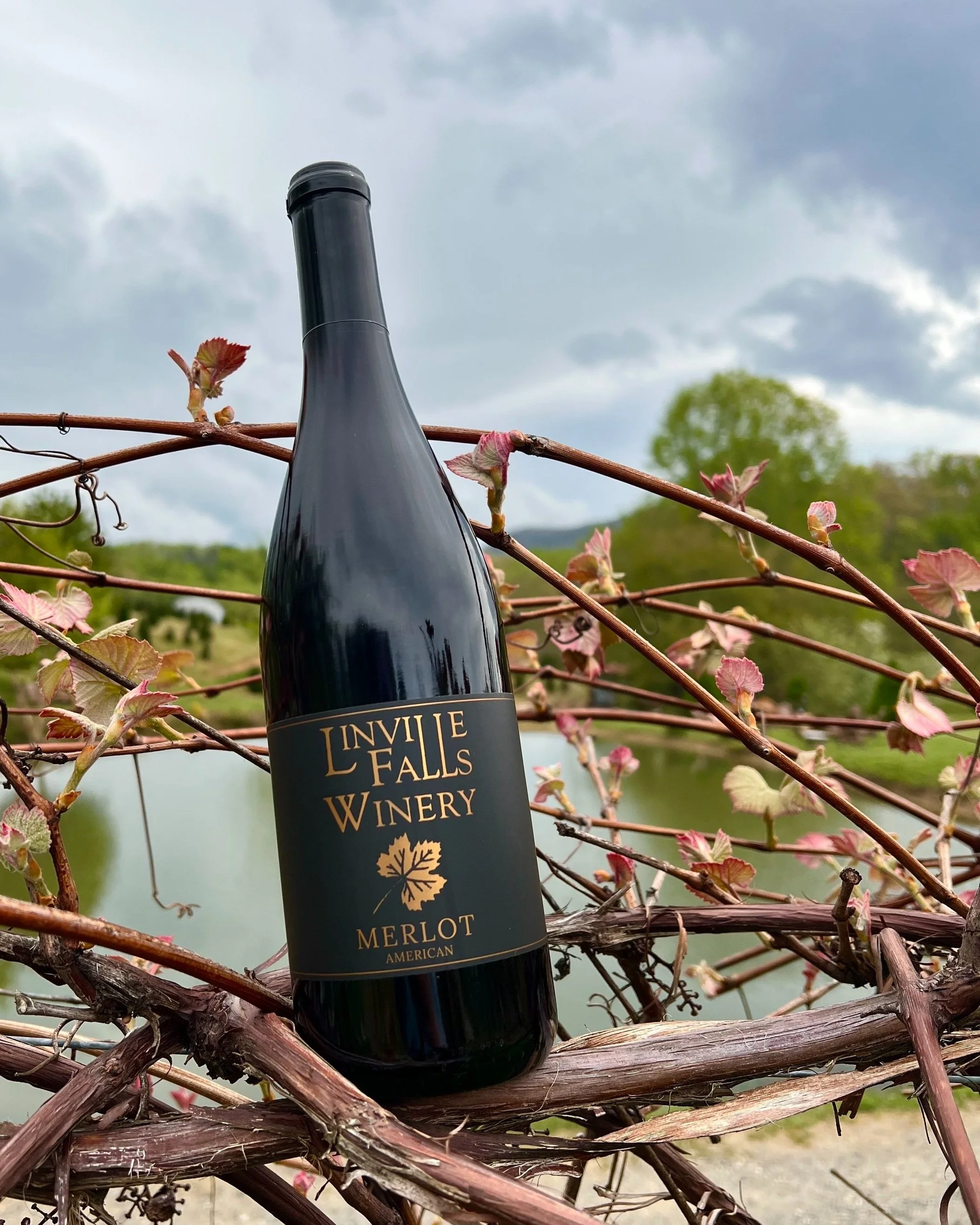 Wine Descriptions — Linville Falls Winery