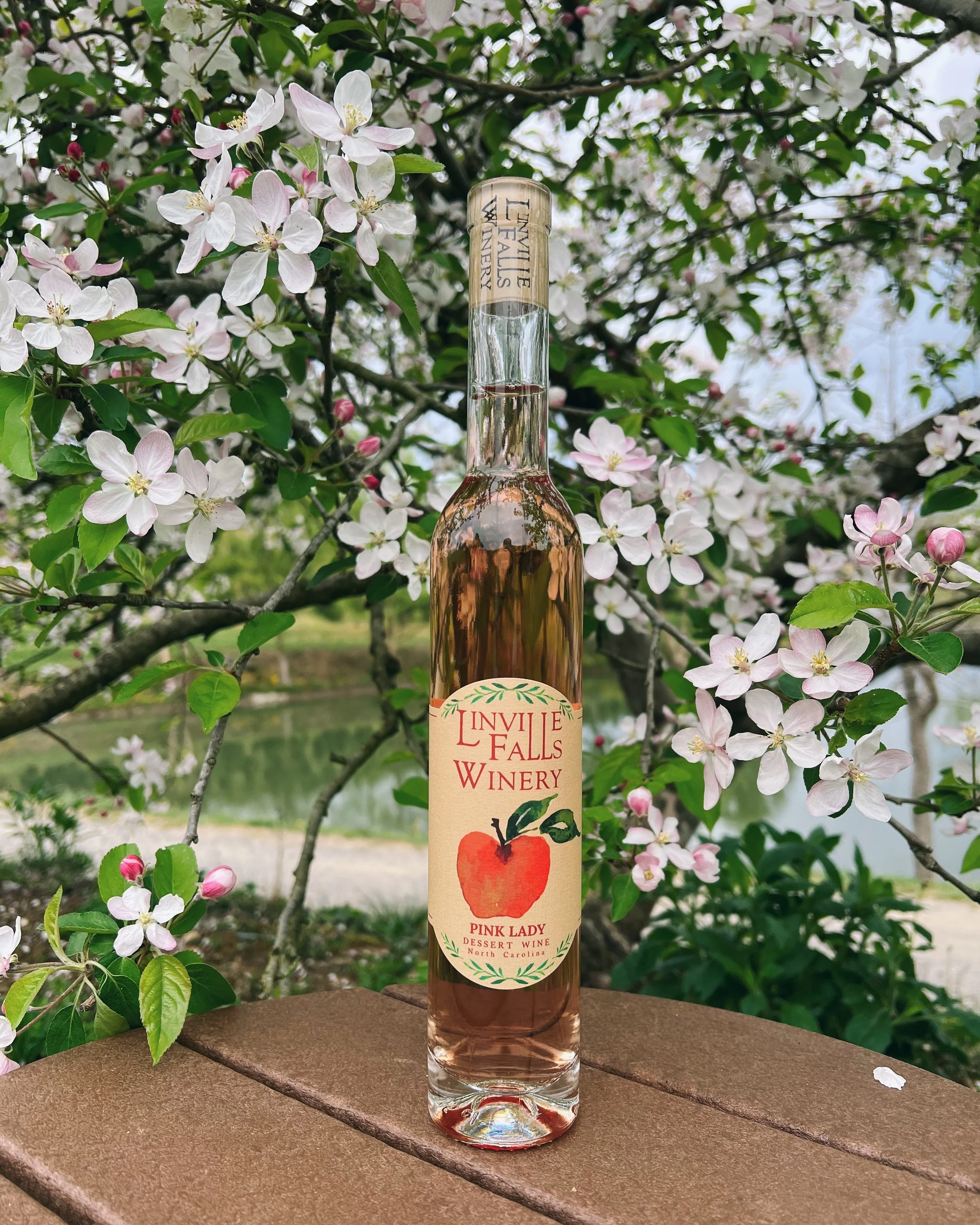 Wine Descriptions — Linville Falls Winery