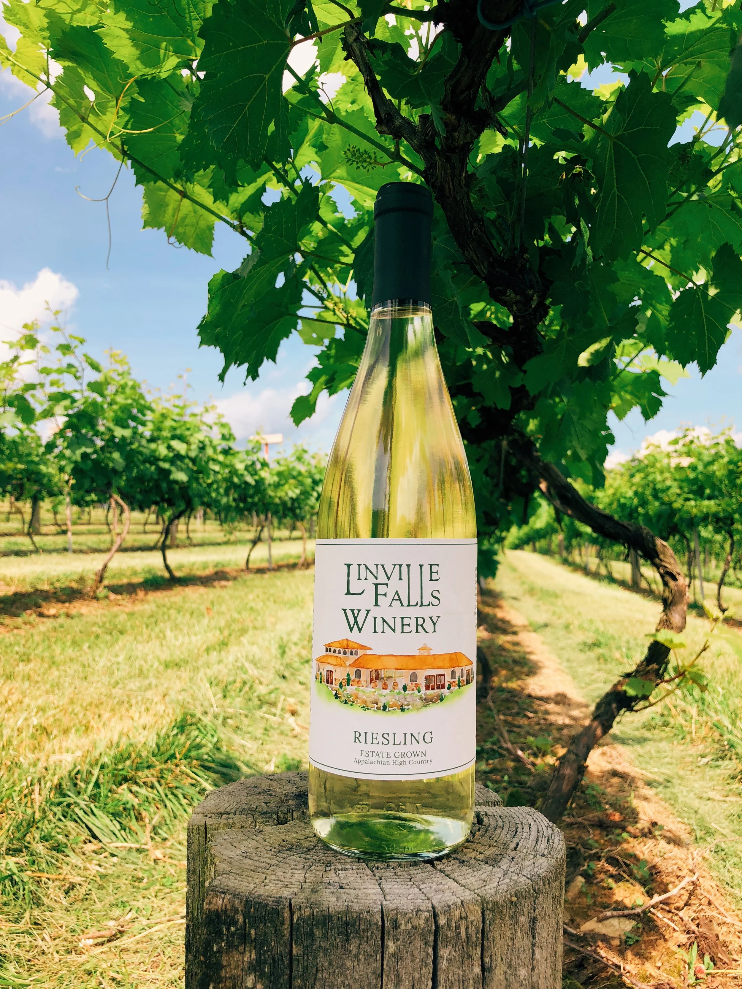 Wine Descriptions — Linville Falls Winery