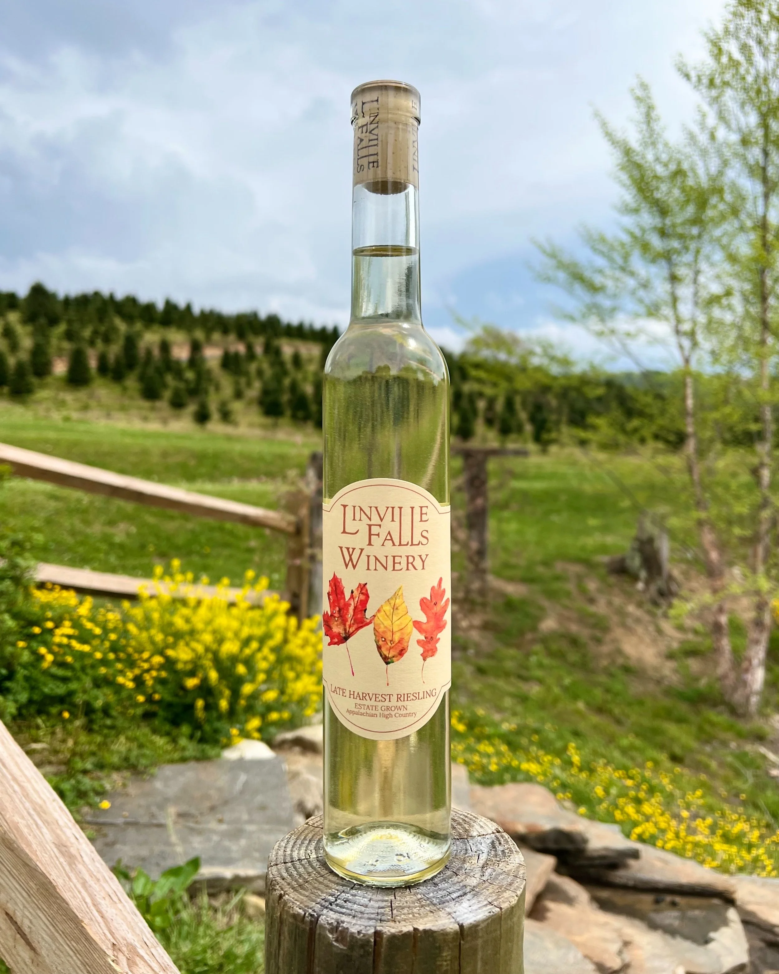 Wine Descriptions — Linville Falls Winery