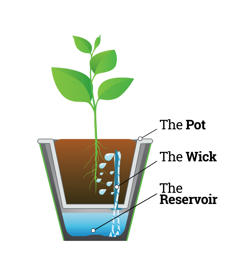 About — Wick & Grow™