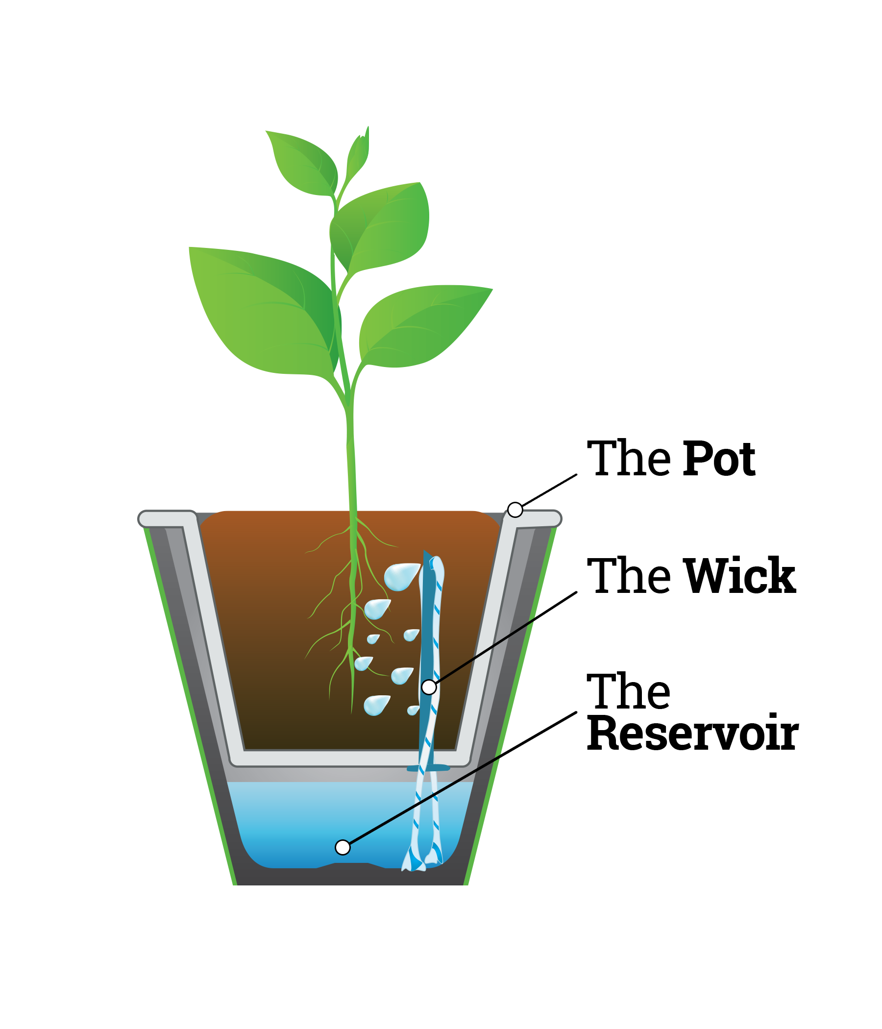 About — Wick & Grow™