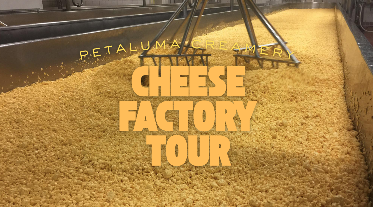 Petaluma Creamery - Cheese, Ice cream and Butter