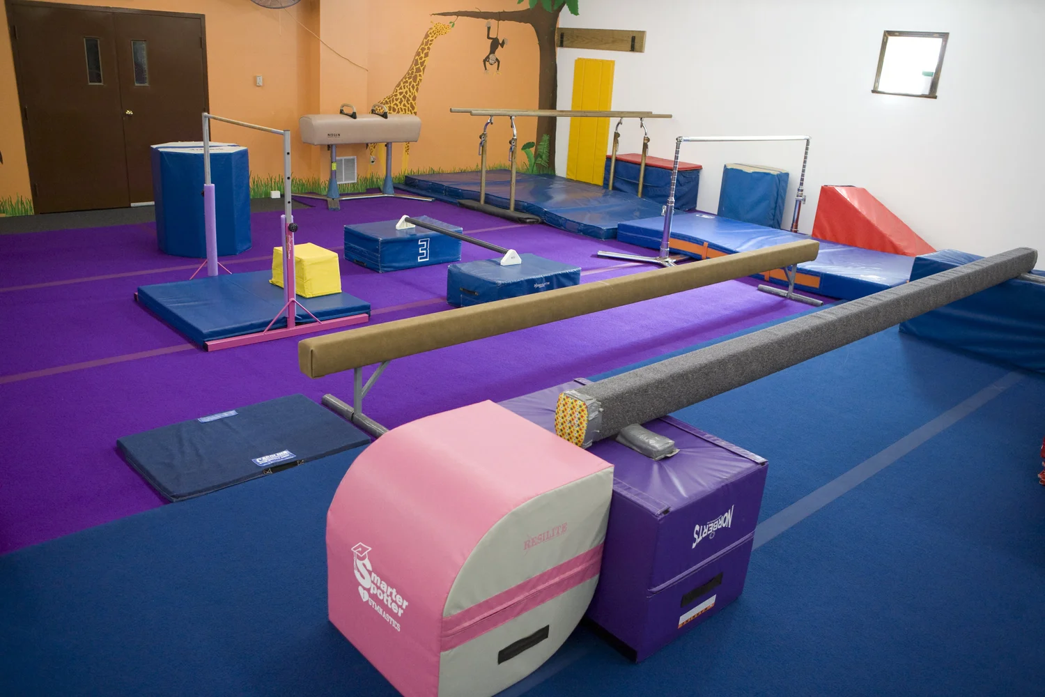 Bethel Park — Gymkhana Gymnastics Schools