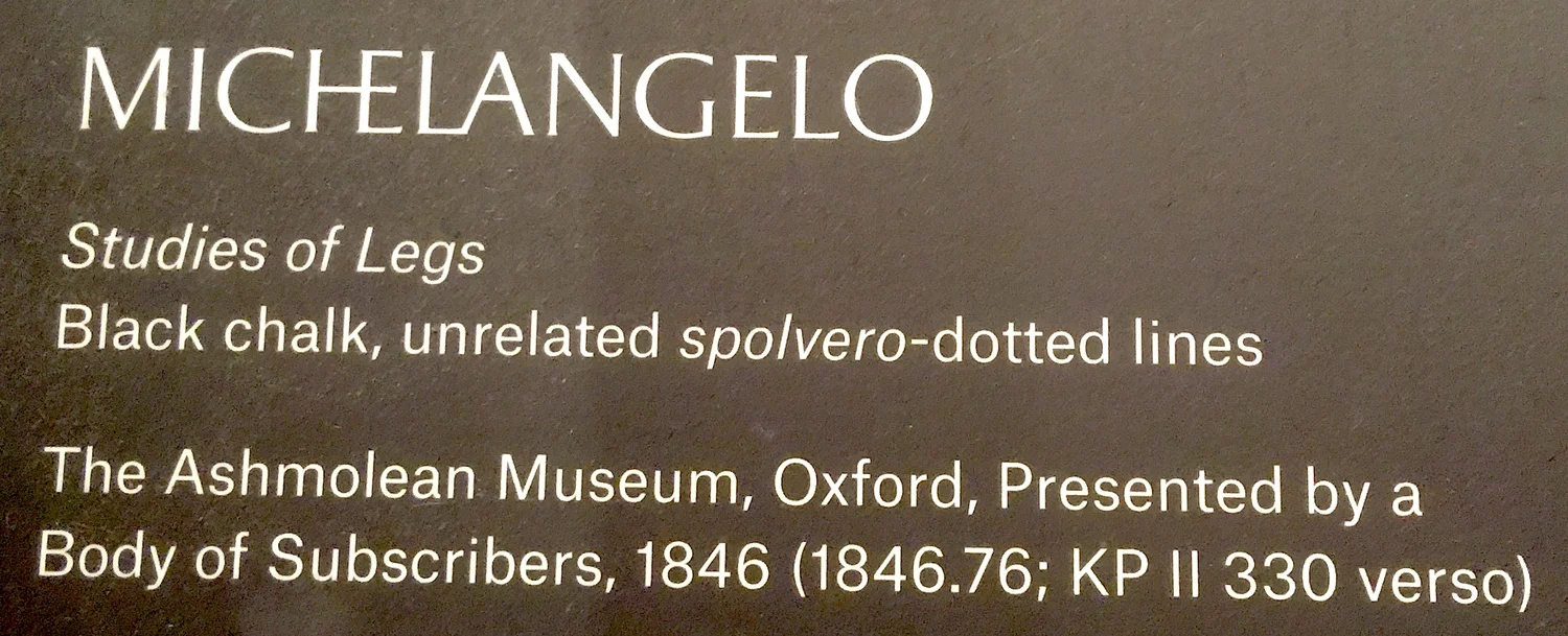 Michelangelo Studies of Legs 米開郞基羅人體腿部素描手稿 — Jennifer's World
