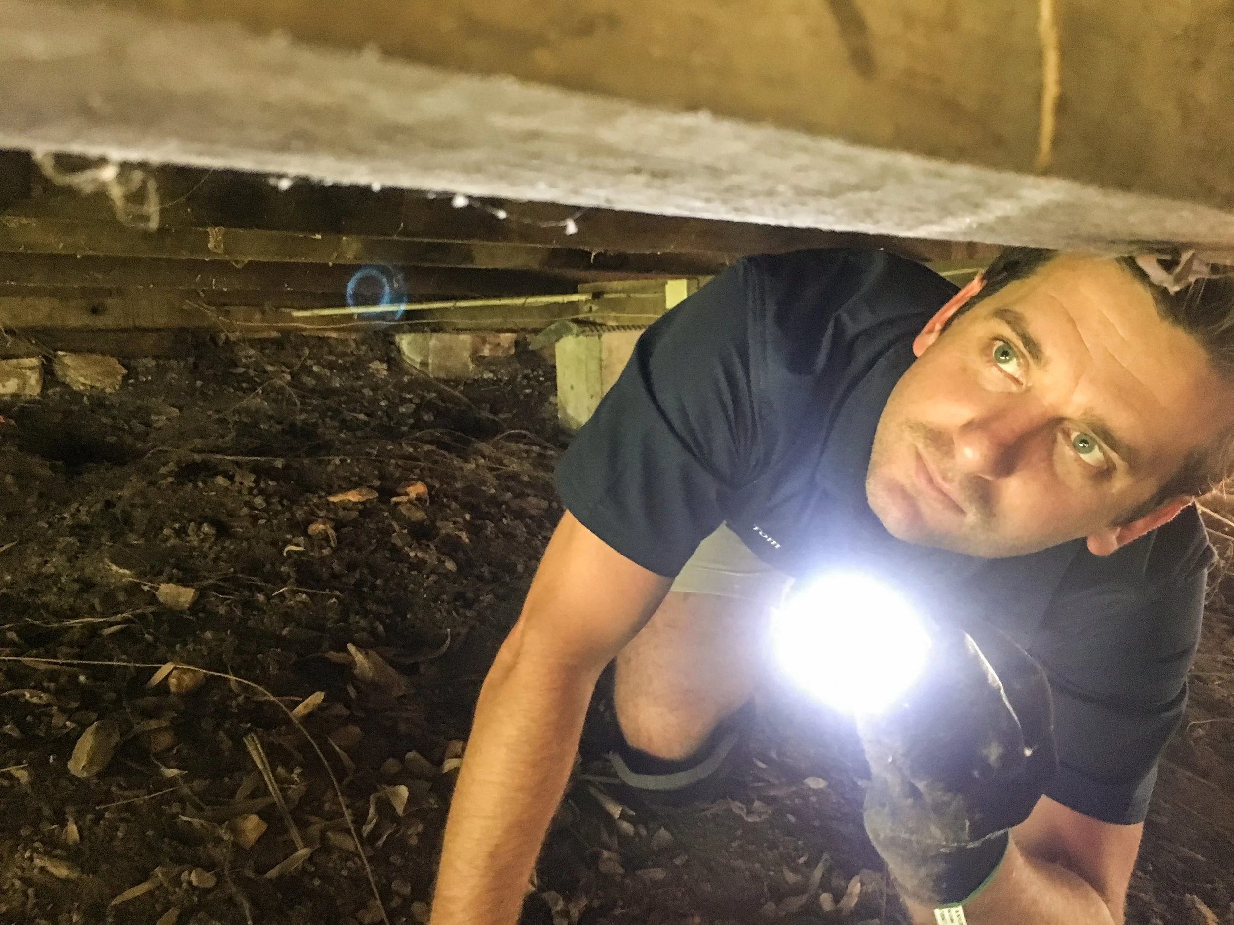 OneHome Inspections