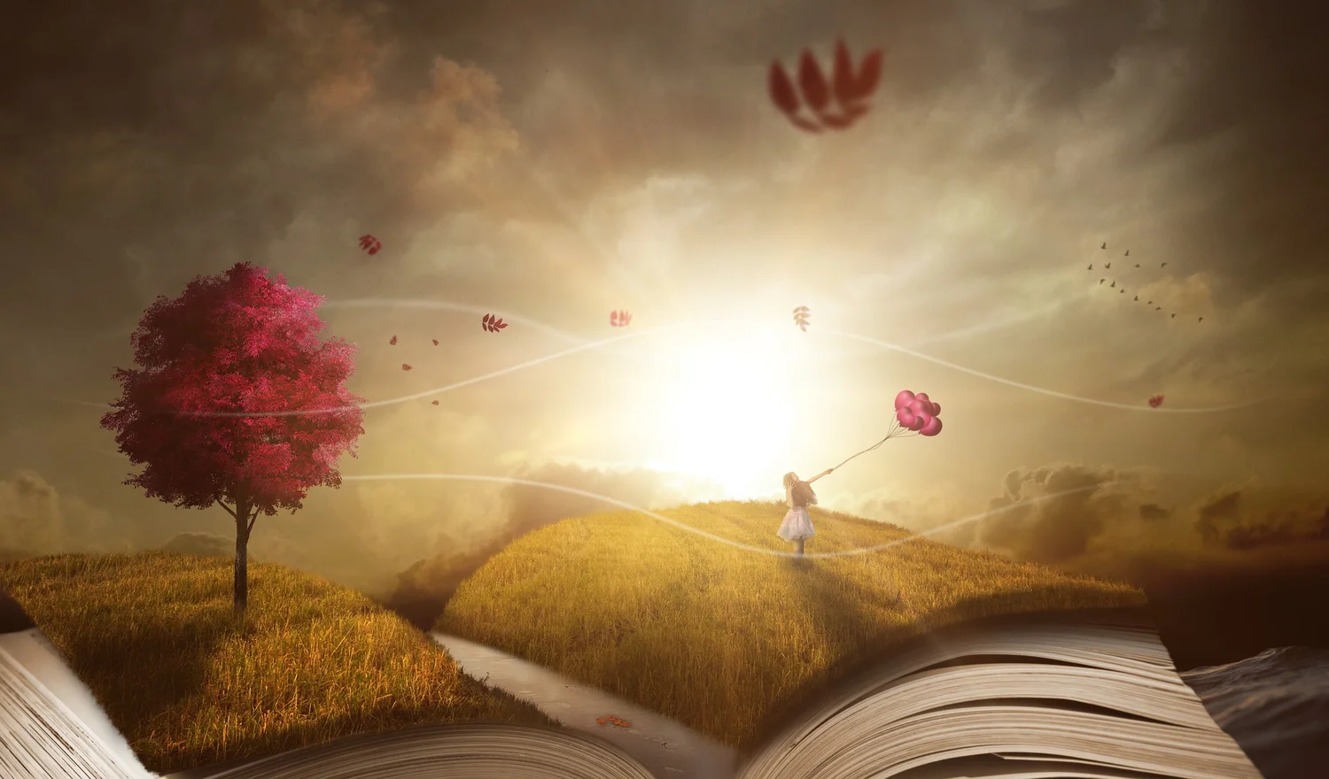 Feng Shui Book Recommendations