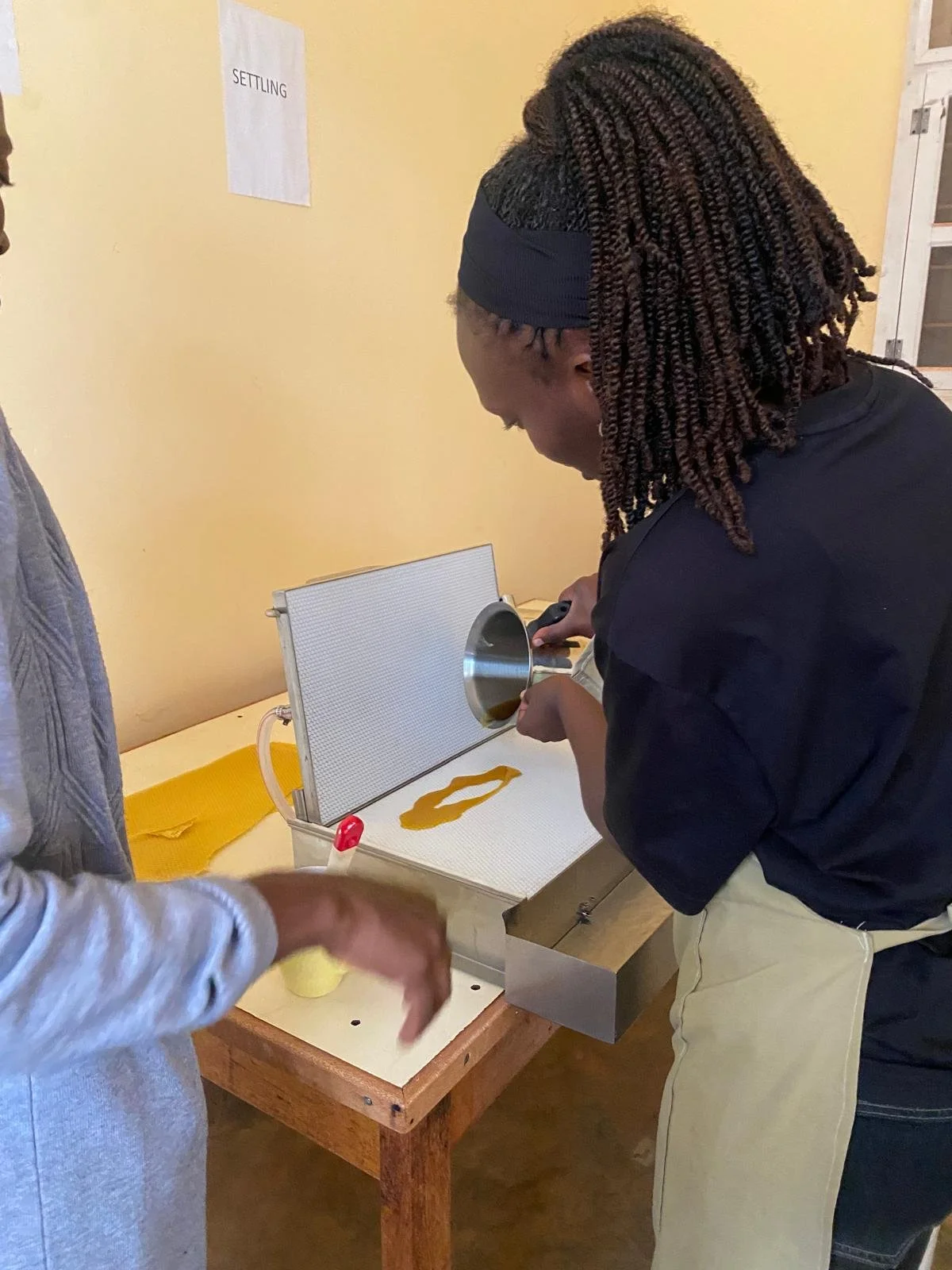 Beekeeping project takes flight in Tanzania — EWB SWE