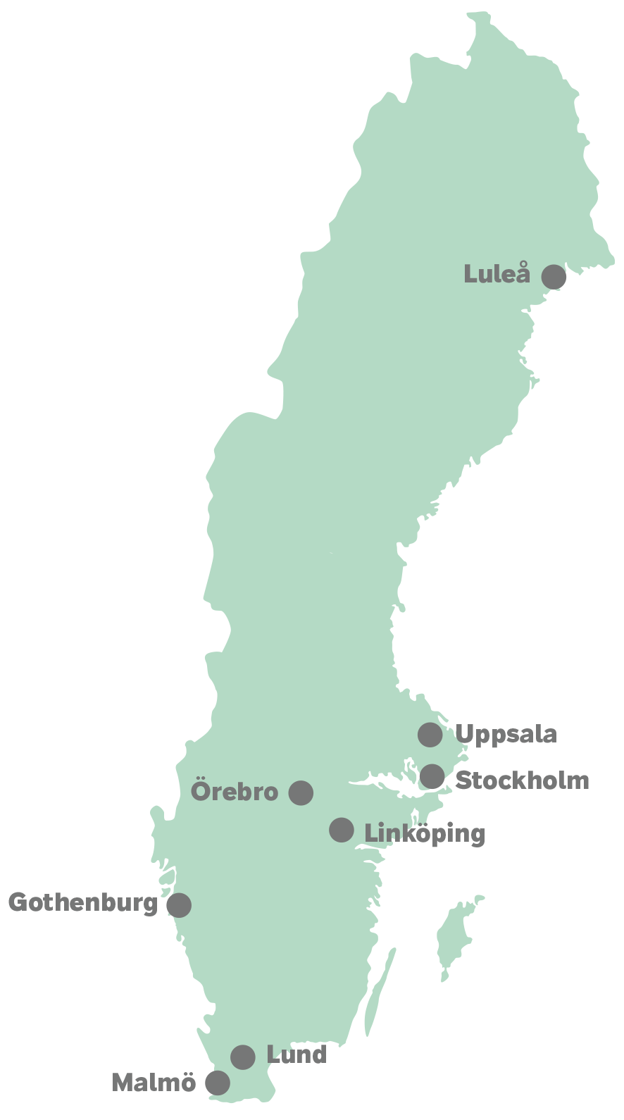 Local Groups — EWB SWE