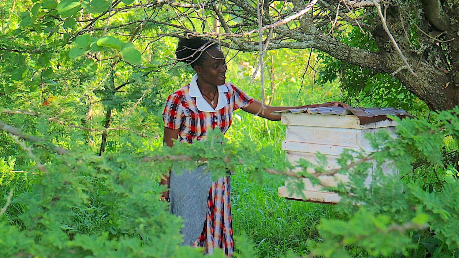 Interview with Clara Timothy, Project Leader of the Durable Beekeeping ...