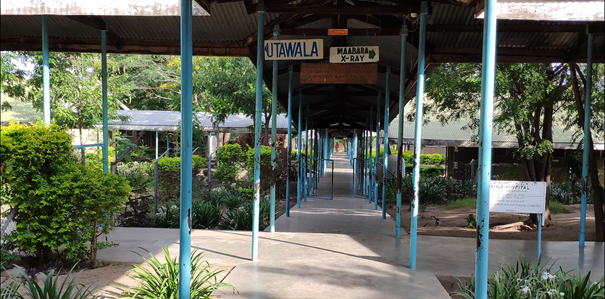 Healthy Hospitals in Tanzania — EWB SWE