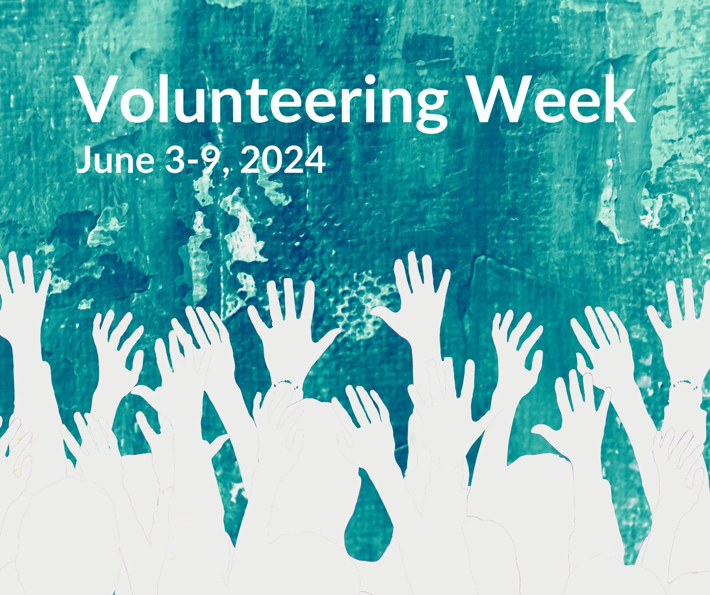 Volunteering Week 2024: Honouring the Impact of Volunteers Globally ...