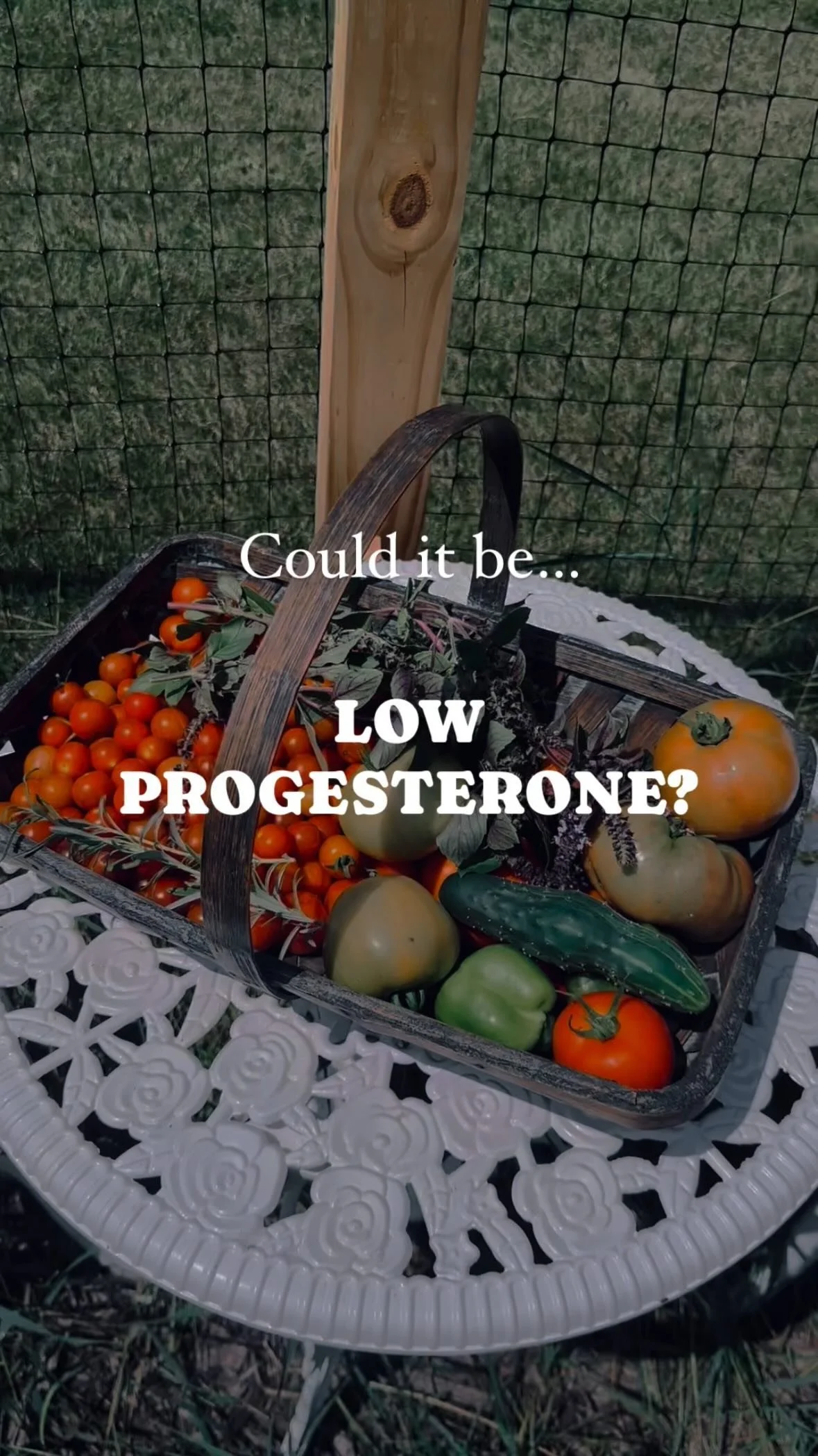 12 Possible Causes of High Estrogen — Composed Nutrition | Hormone ...