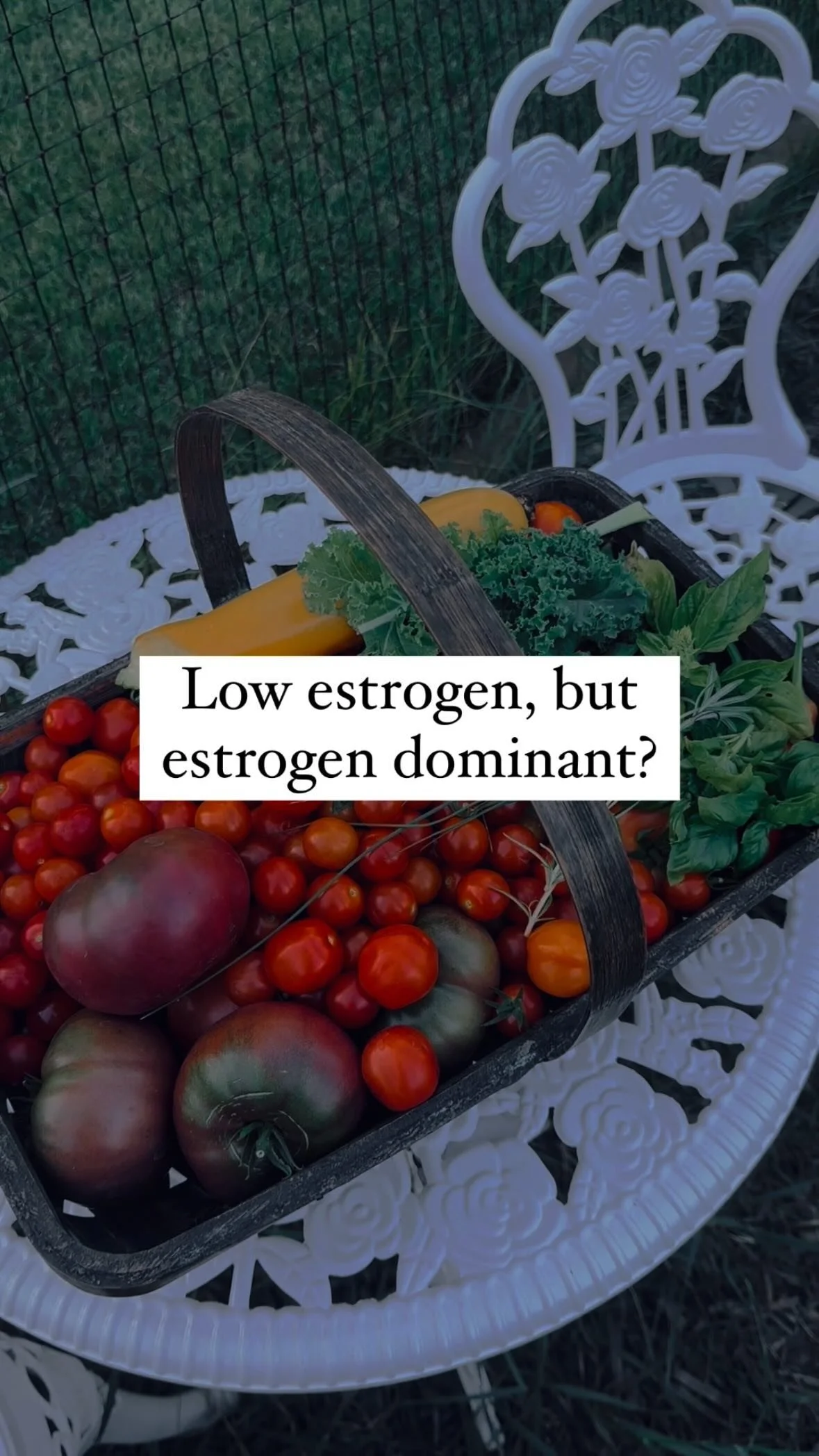 5 Ways Raspberry Leaf Tea Benefits Hormones — Composed Nutrition ...