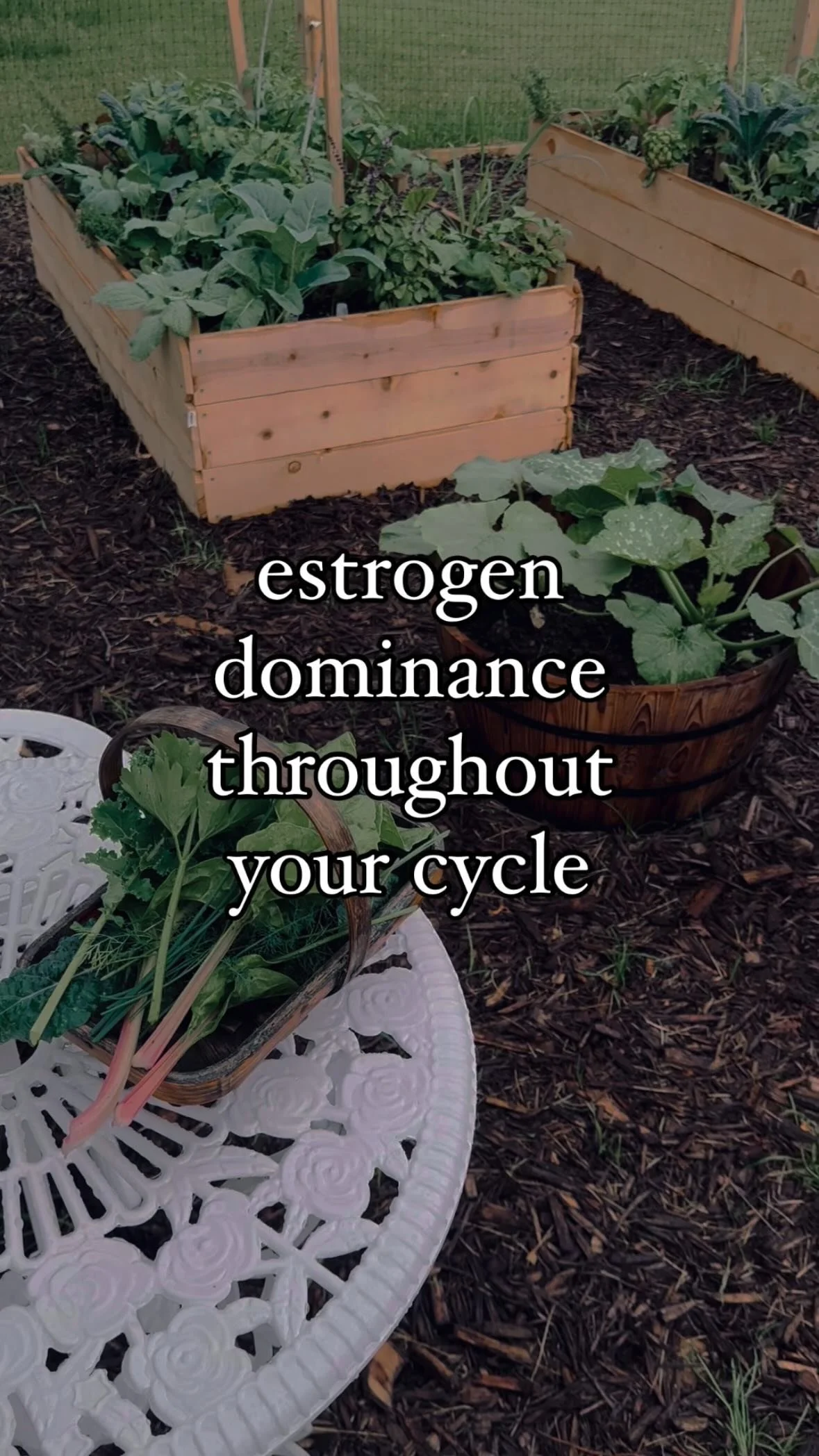 12 Signs of High Estrogen — Composed Nutrition | Hormone, PCOS ...
