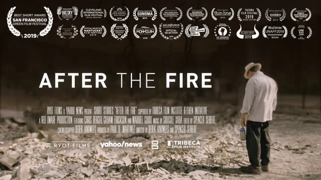 Director — Derek Knowles