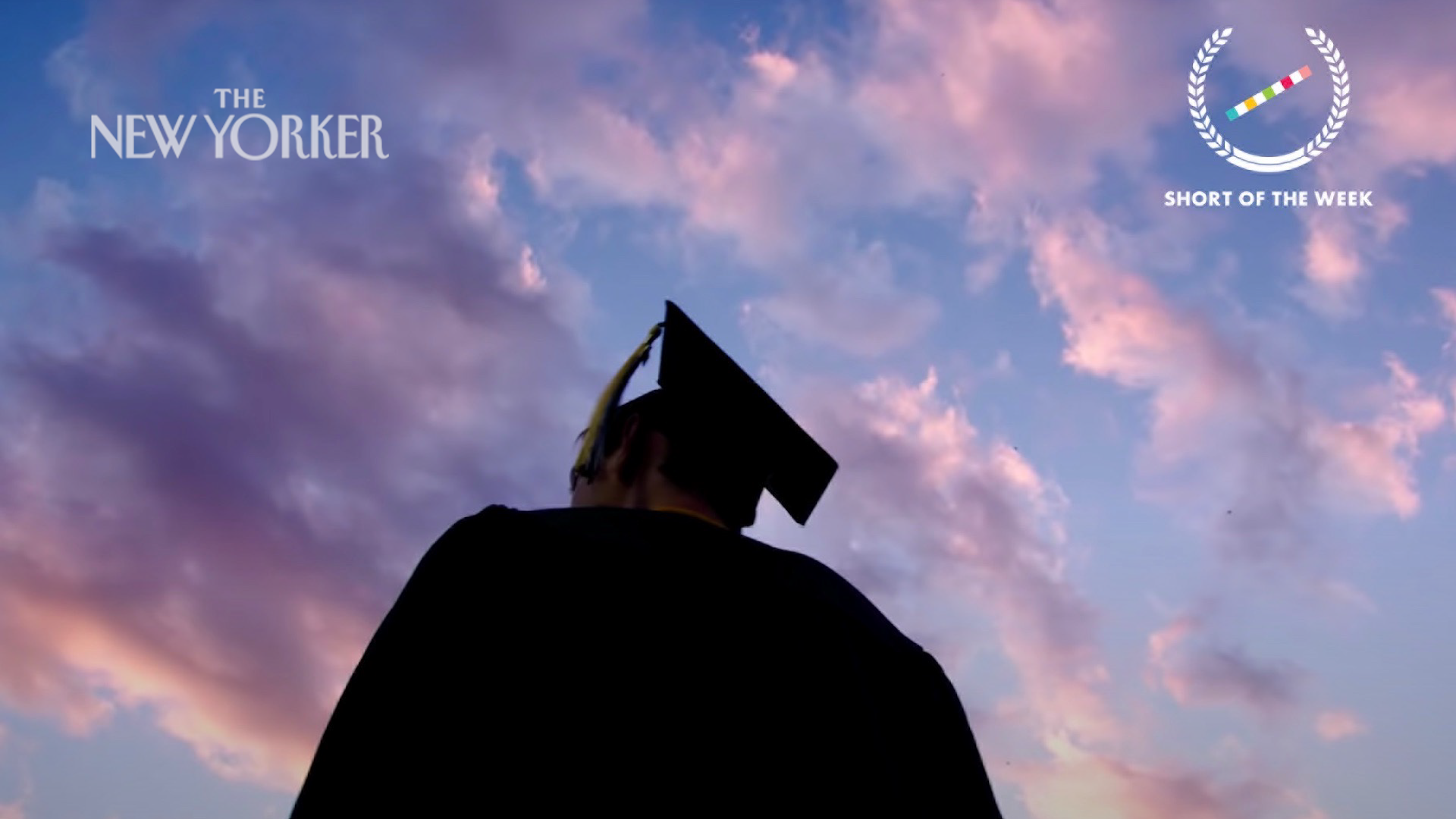 Director — Derek Knowles