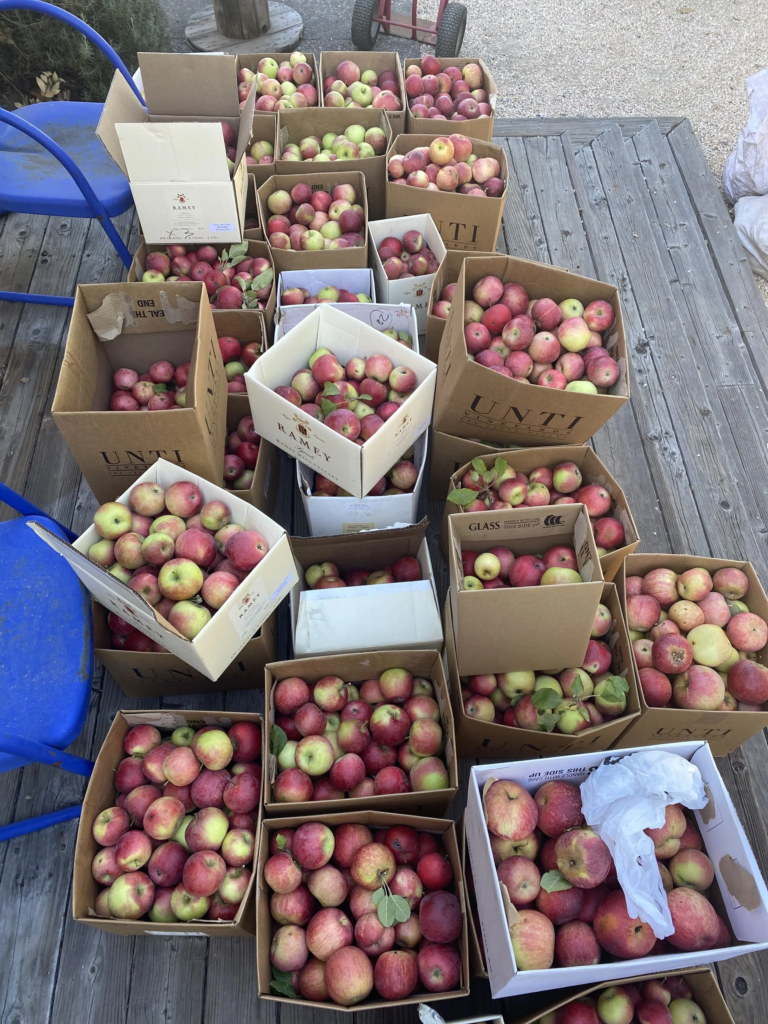 Media Gallery — Farm to Pantry