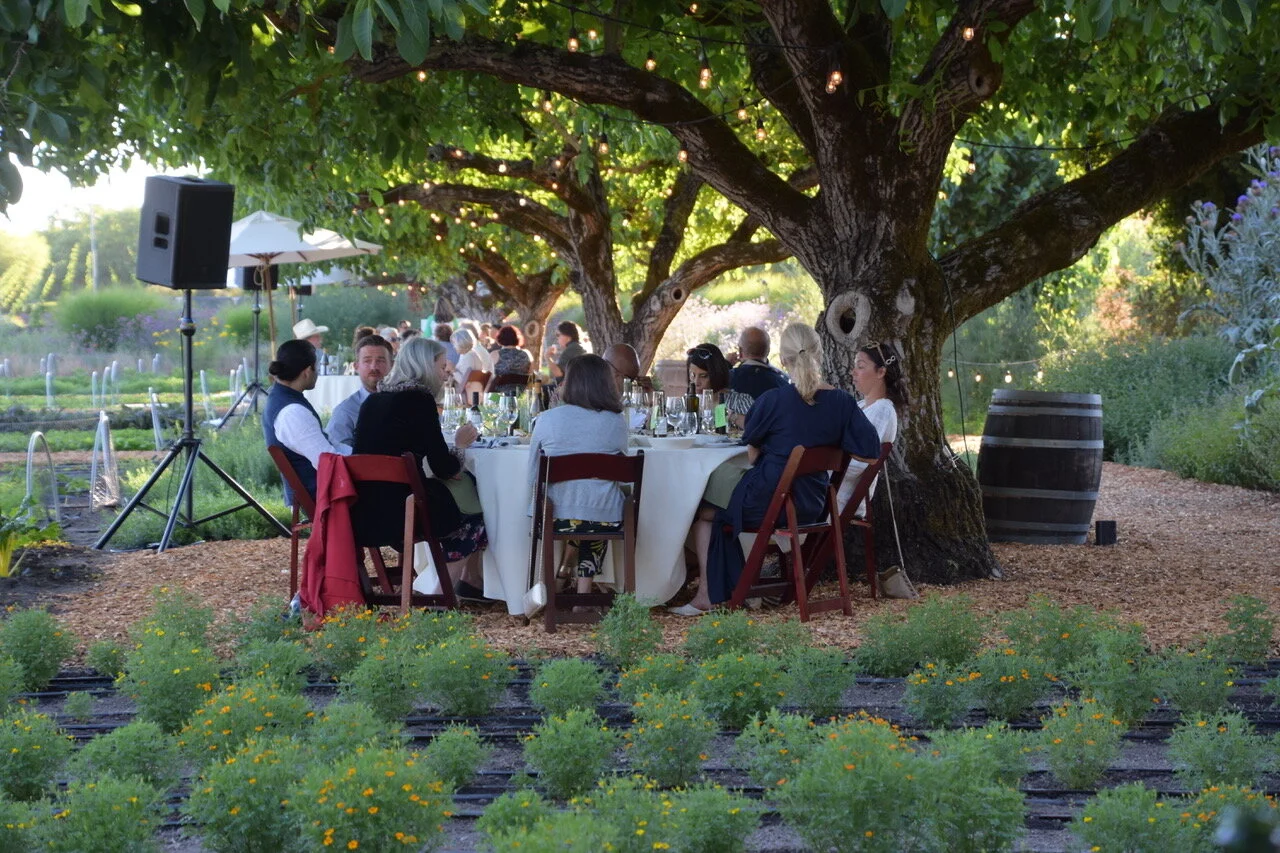 Summer Supper — Farm to Pantry